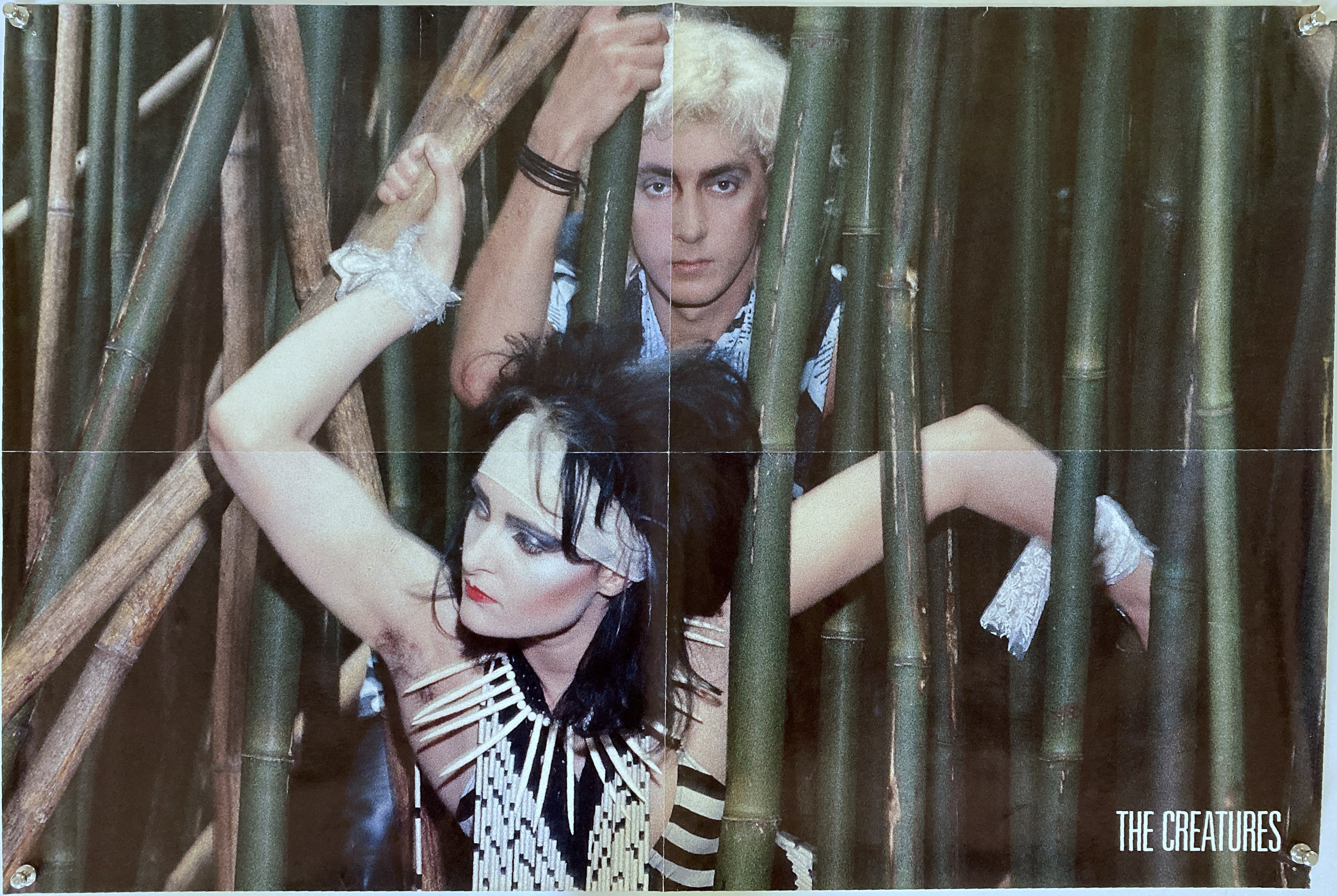 Lot 232 - SIOUXSIE AND THE BANSHEES / THE CREATURES