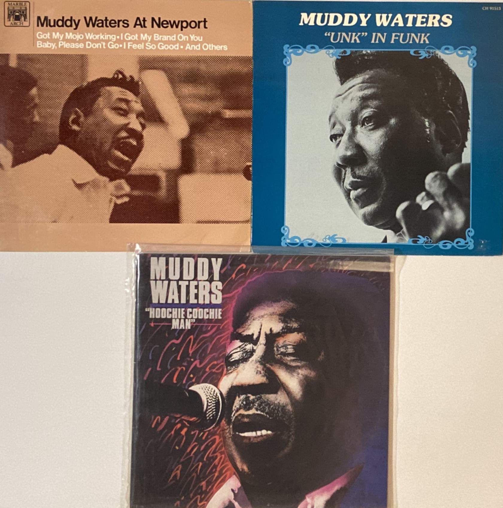 Lot 59 - MUDDY WATERS - LPs (WITH PYTHON RECORDS