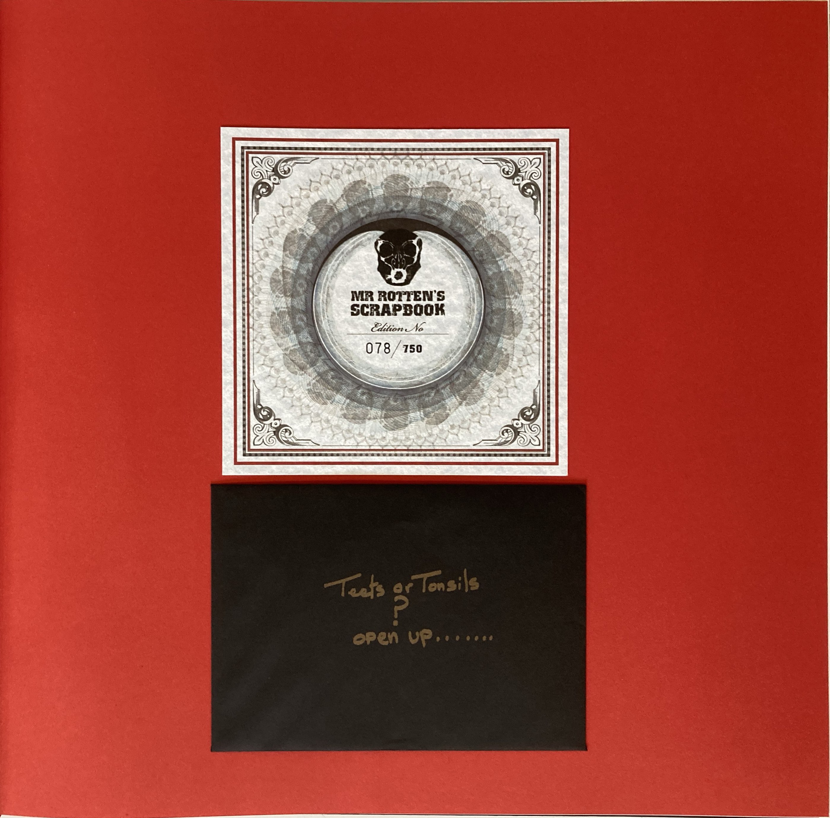 Lot 529 - SEX PISTOLS COLLECTABLE BOOK - MR. ROTTEN'S