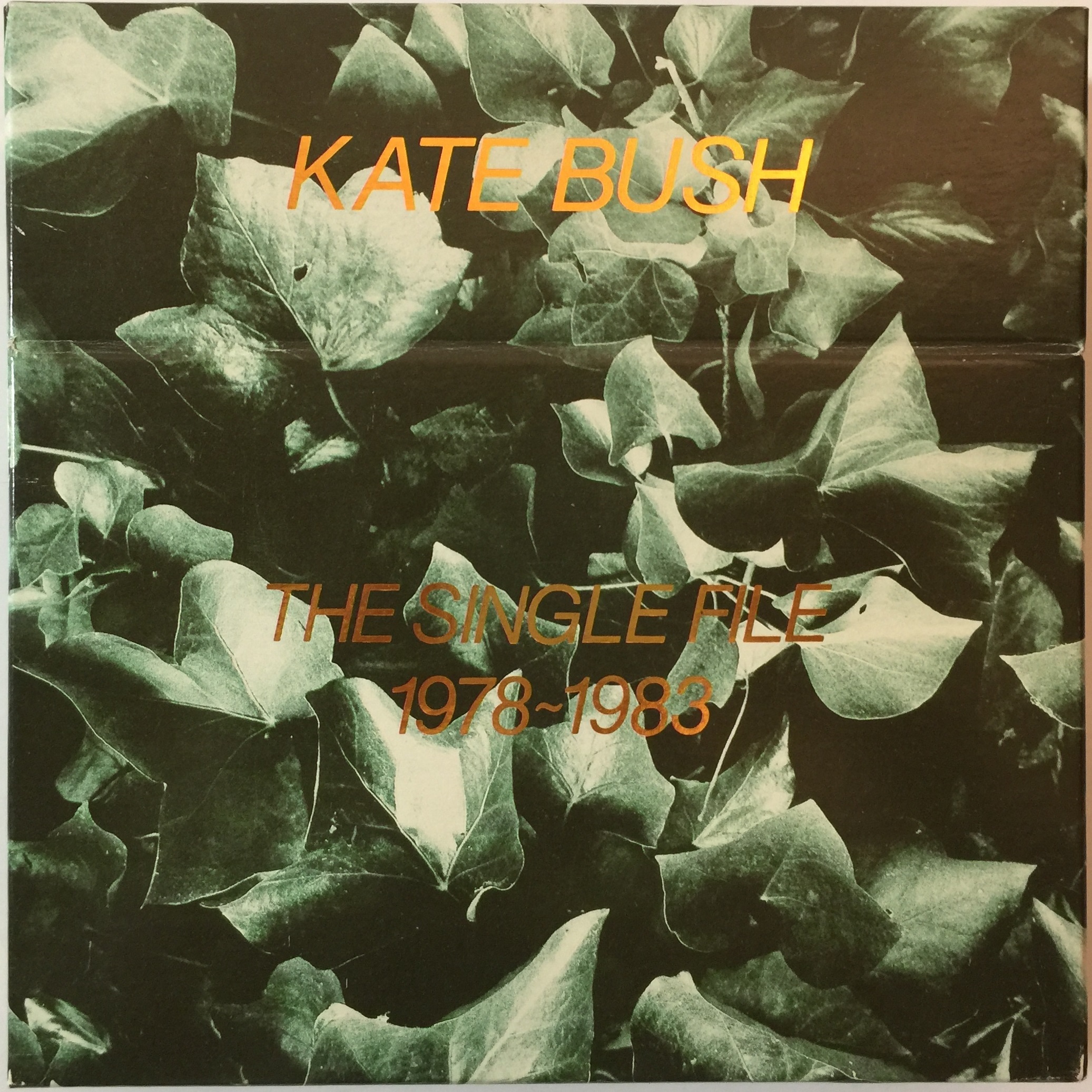 Lot 1062 - KATE BUSH - THE SINGLE FILE 1978 ~ 1983 7"