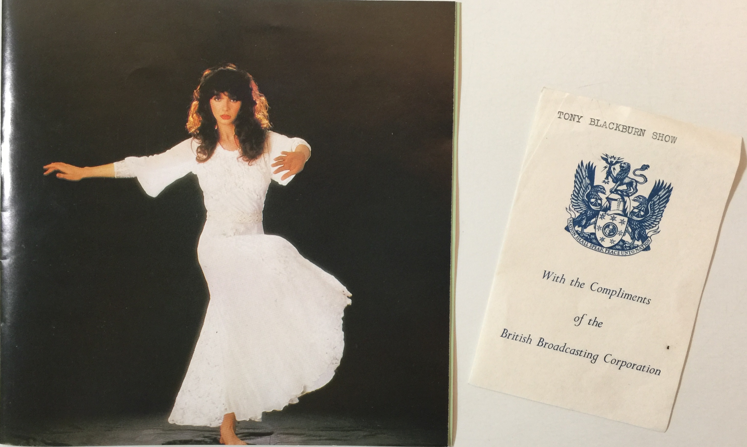Lot 1062 - KATE BUSH - THE SINGLE FILE 1978 ~ 1983 7"