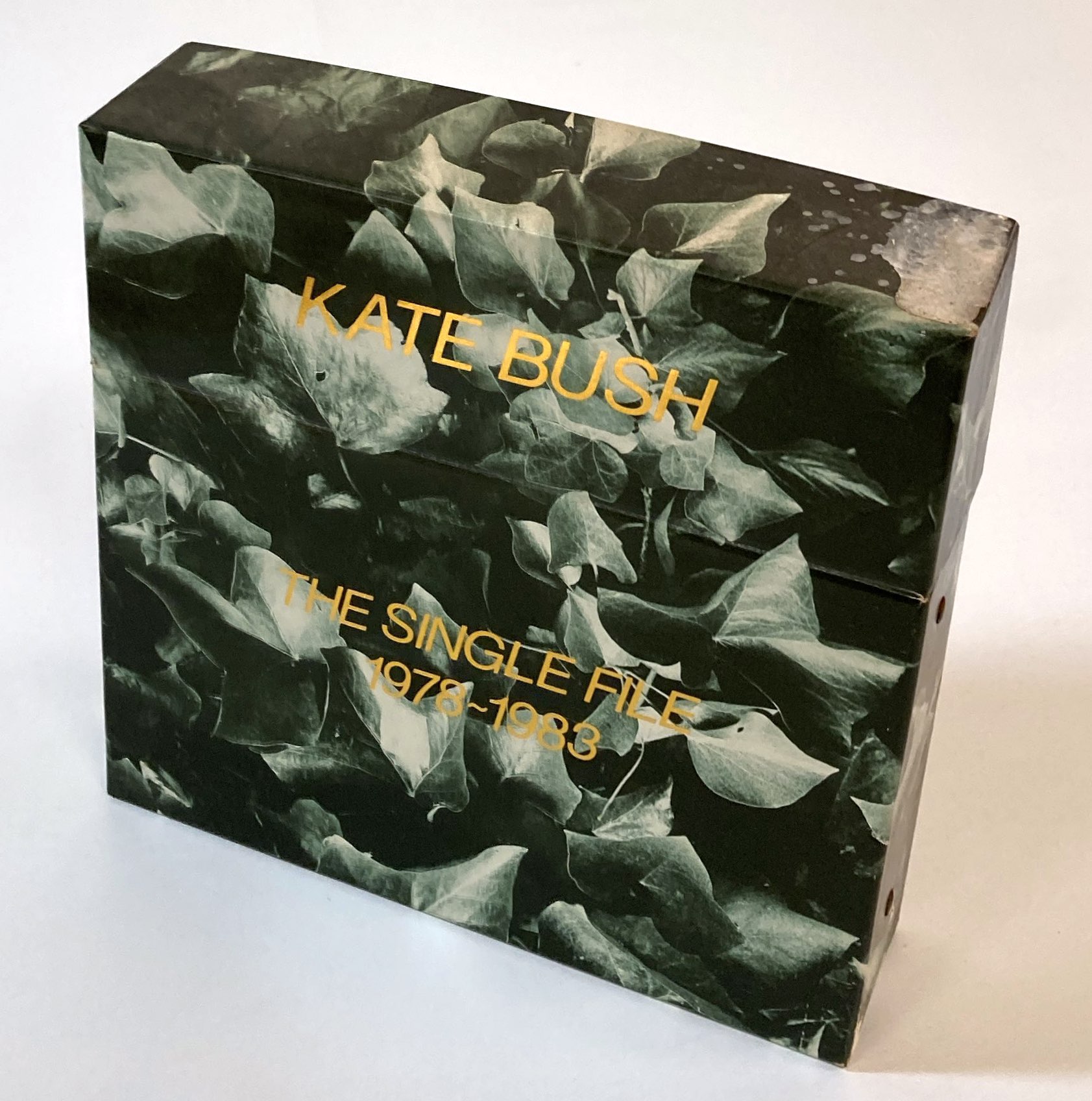 Lot 324 - KATE BUSH - LPS + THE SINGLE FILE 7" BOX SET