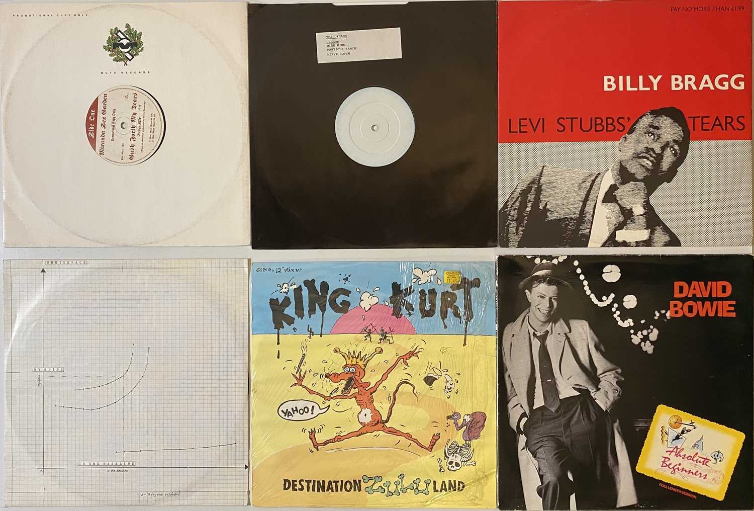 Lot 365 - INDIE/PUNK/NEW WAVE 12'' RECORD COLLECTION