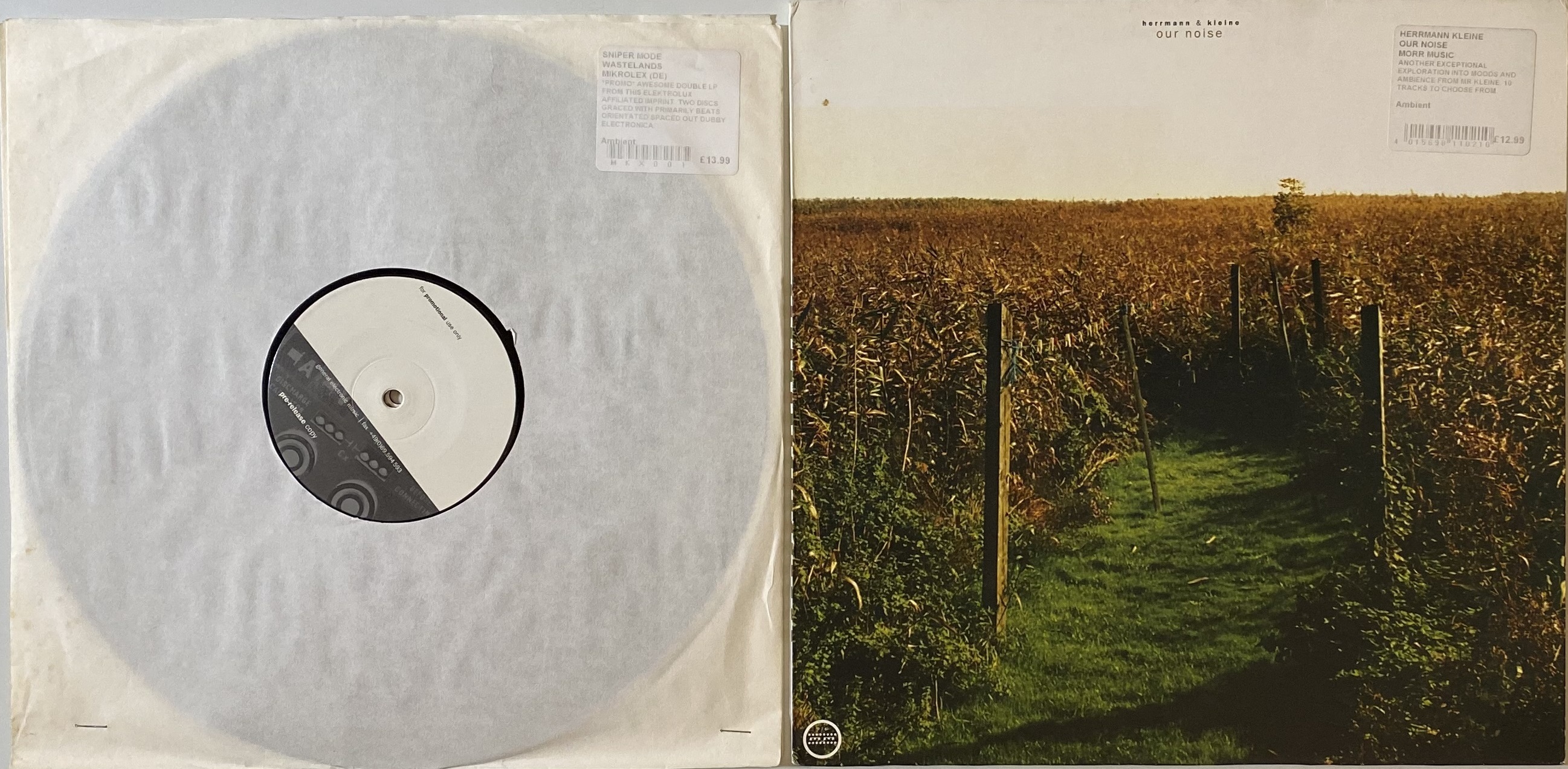 Lot 47 - ELECTRONICA/AMBIENT/ELECTRO/IDM - LP & 12