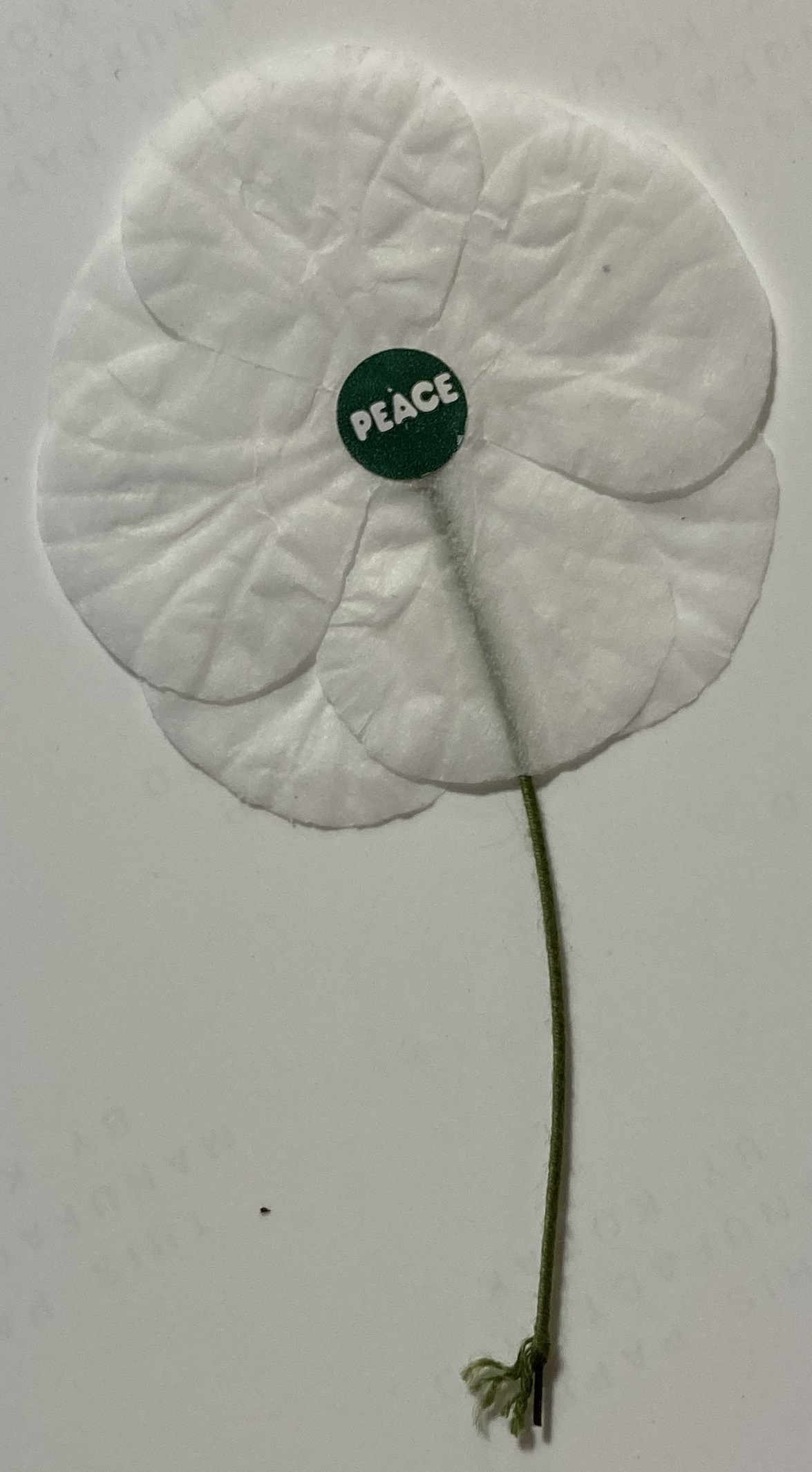 Lot 223 - ALAN WILLIAMS/BOB WOOLER/BERYL ADAMS - PAUL