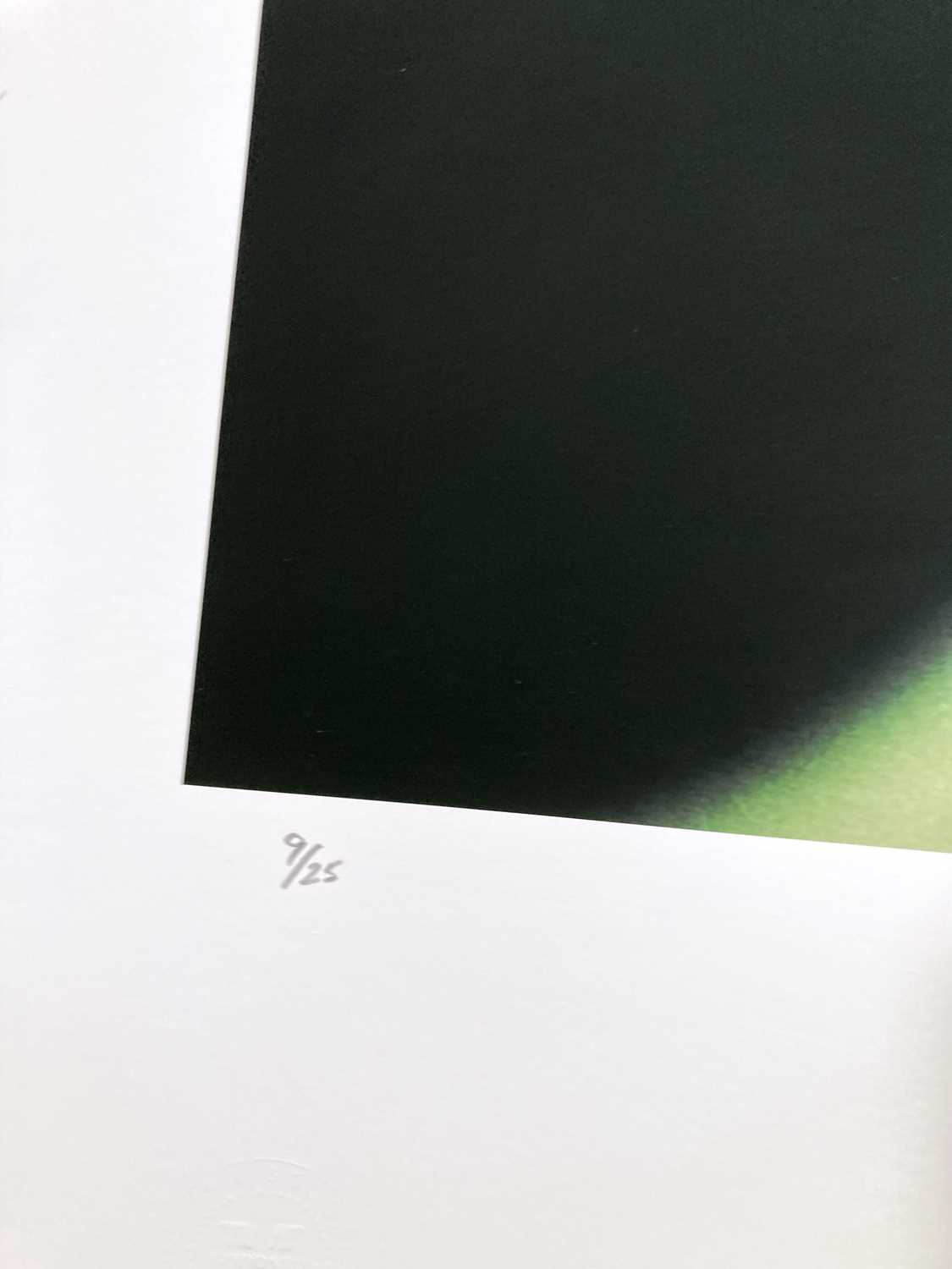 Lot 200 - MARTYN GODDARD - DEBBIE HARRY.