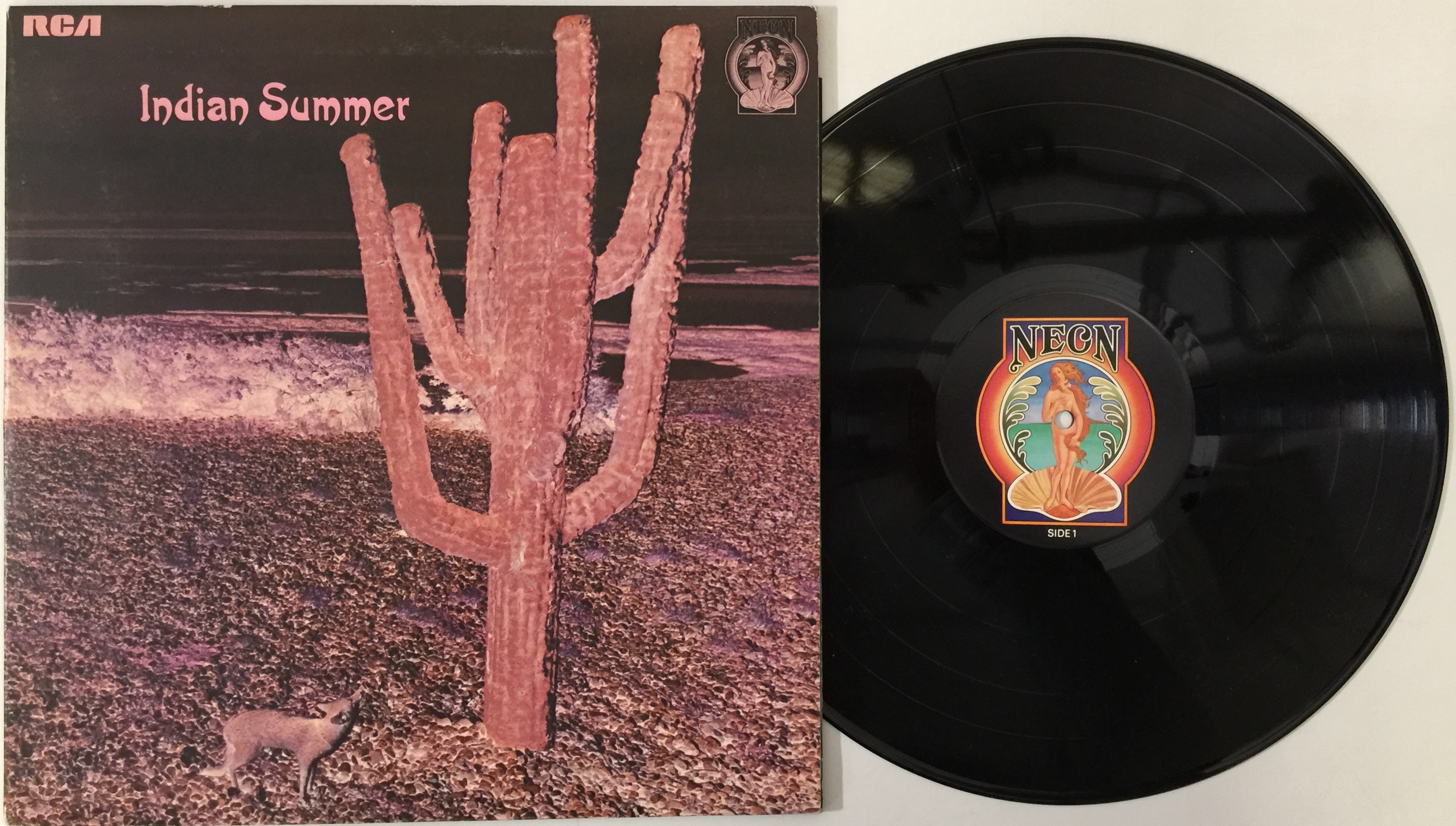 Lot 88 - INDIAN SUMMER - S/T LP (UK PROG - RCA NEON
