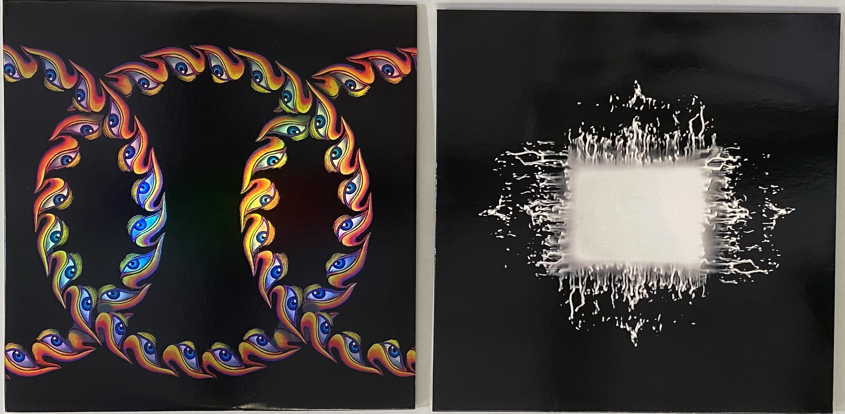 Lot 111 - TOOL - LP RARITIES