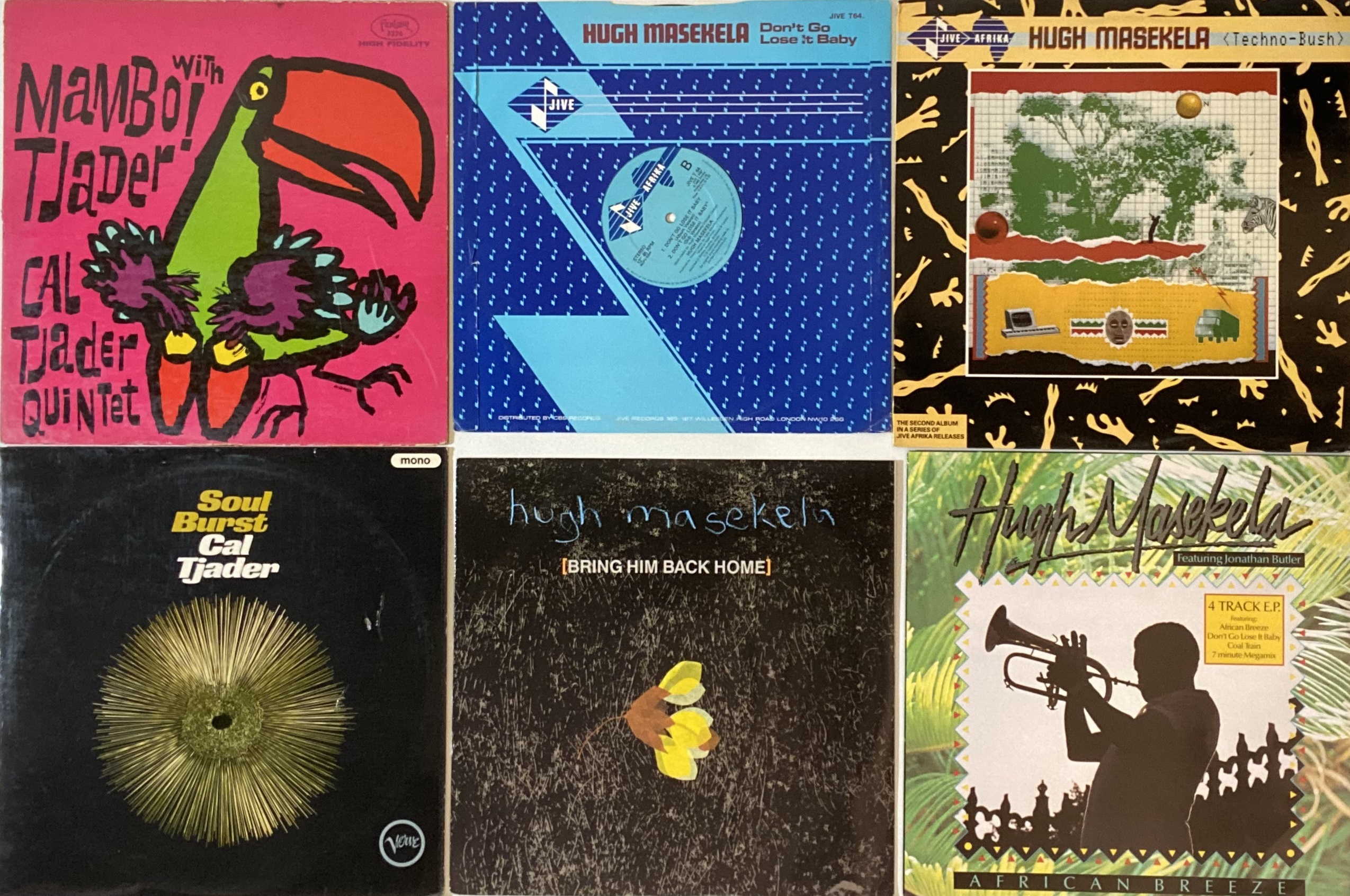Lot 100 - MPB/BOSSA NOVA/AFRICAN/AFRO-CUBAN - LPs.