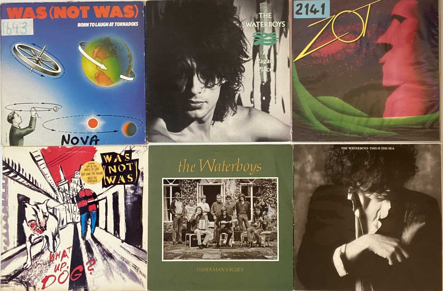 Lot 20 - PUNK/ NEW WAVE - LPs.