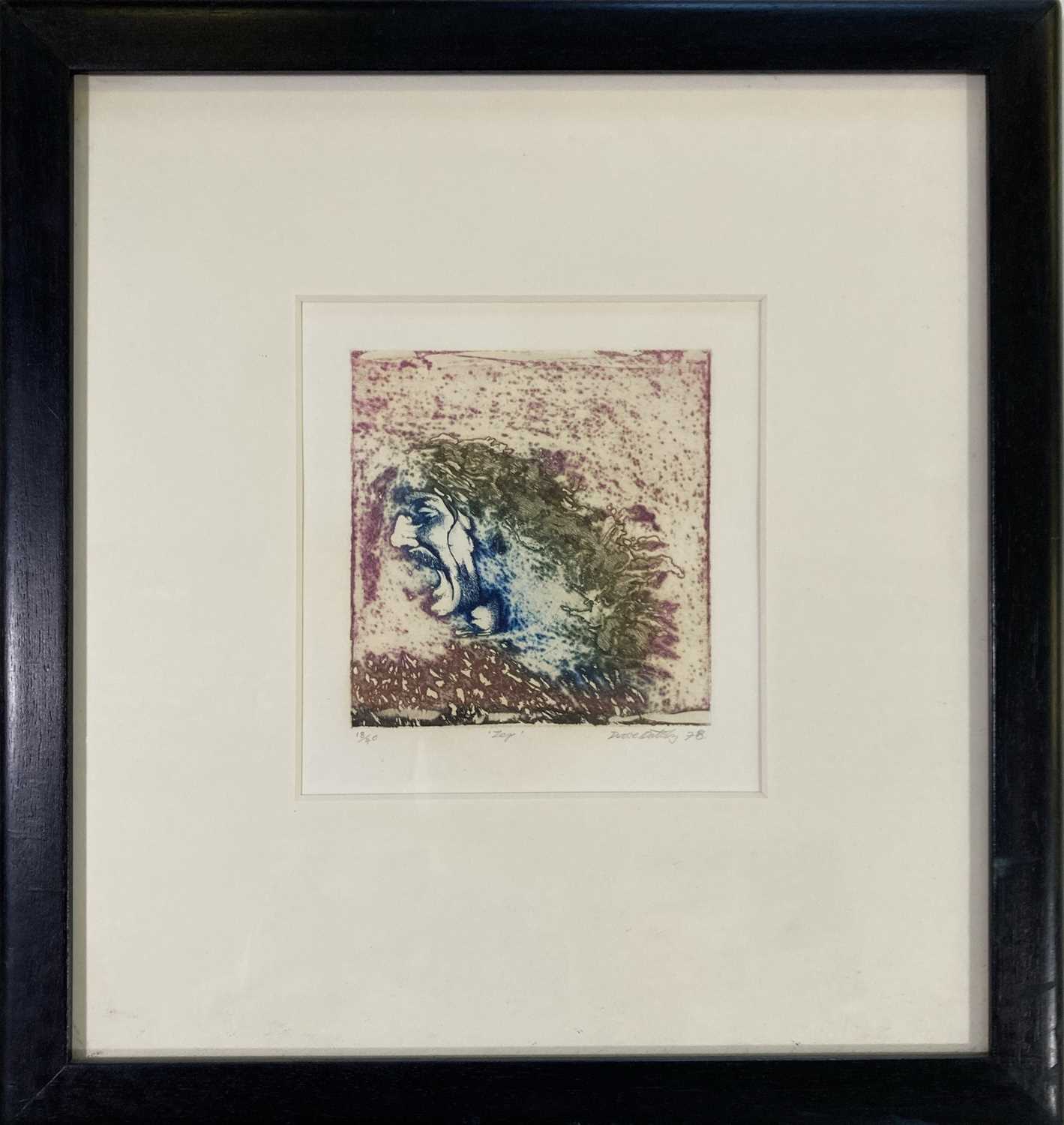 Lot 1930493 - DAVID OXTOBY - LED ZEPPELIN LIMITED