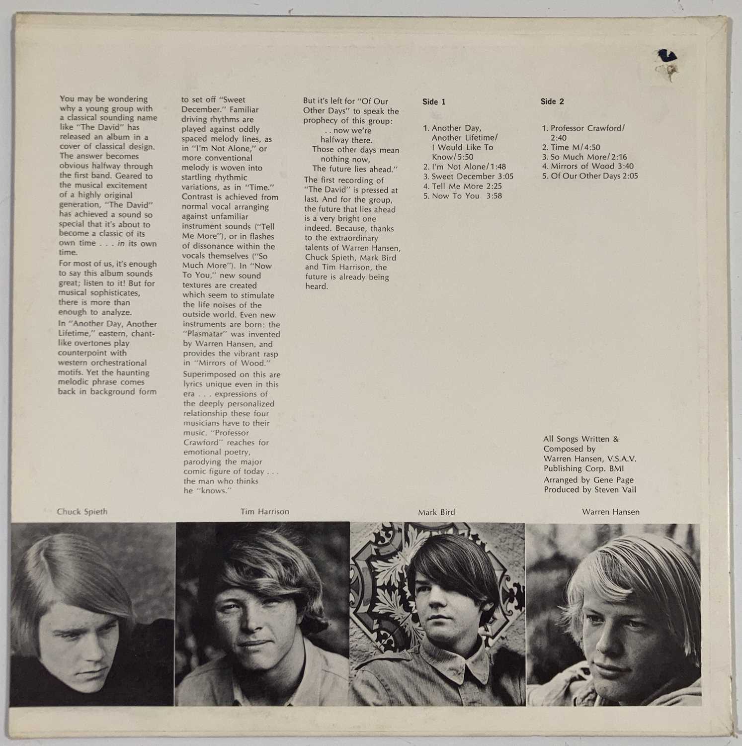 Lot 62 - THE DAVID - ANOTHER DAY, ANOTHER LIFETIME LP