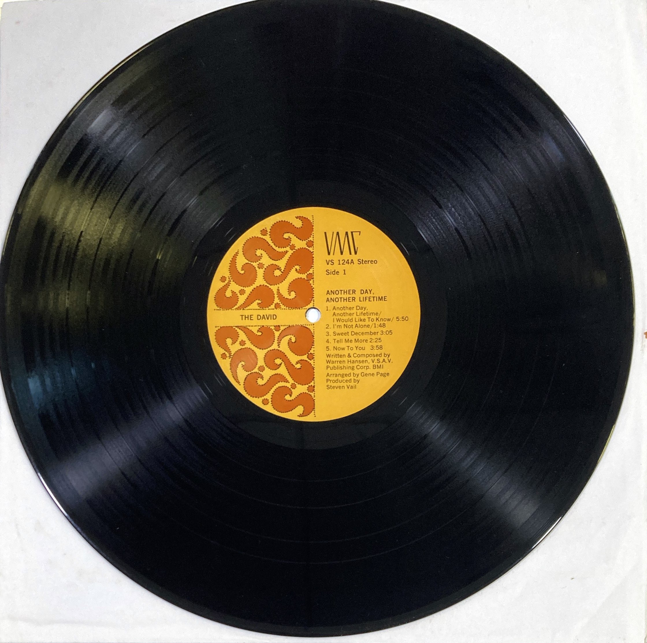 Lot 62 - THE DAVID - ANOTHER DAY, ANOTHER LIFETIME LP