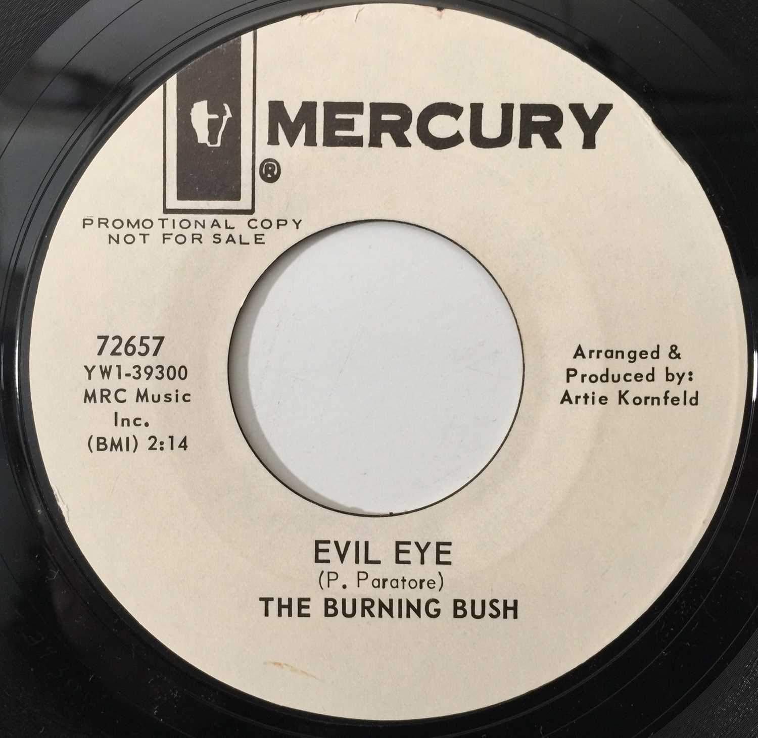 Lot 44 - THE BURNING BUSH - KEEPS ON BURNING/ EVIL EYE