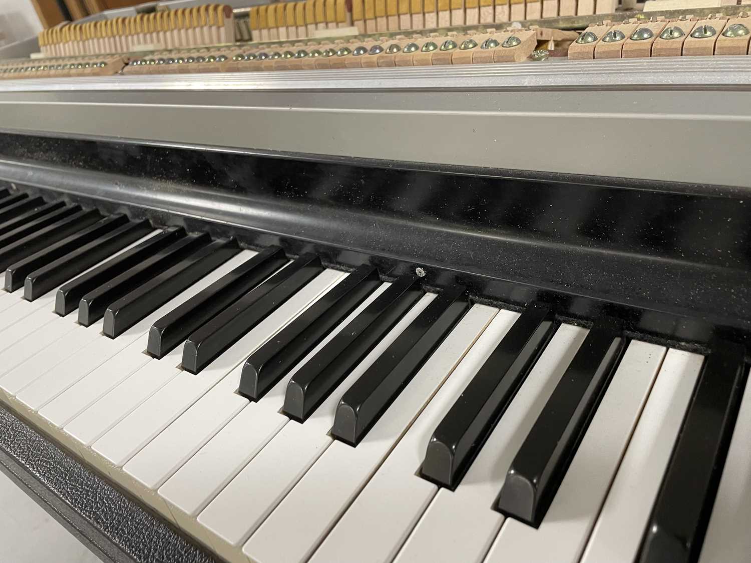 Lot 66 - STRAWBERRY STUDIOS - STRAWBERRY RENTALS