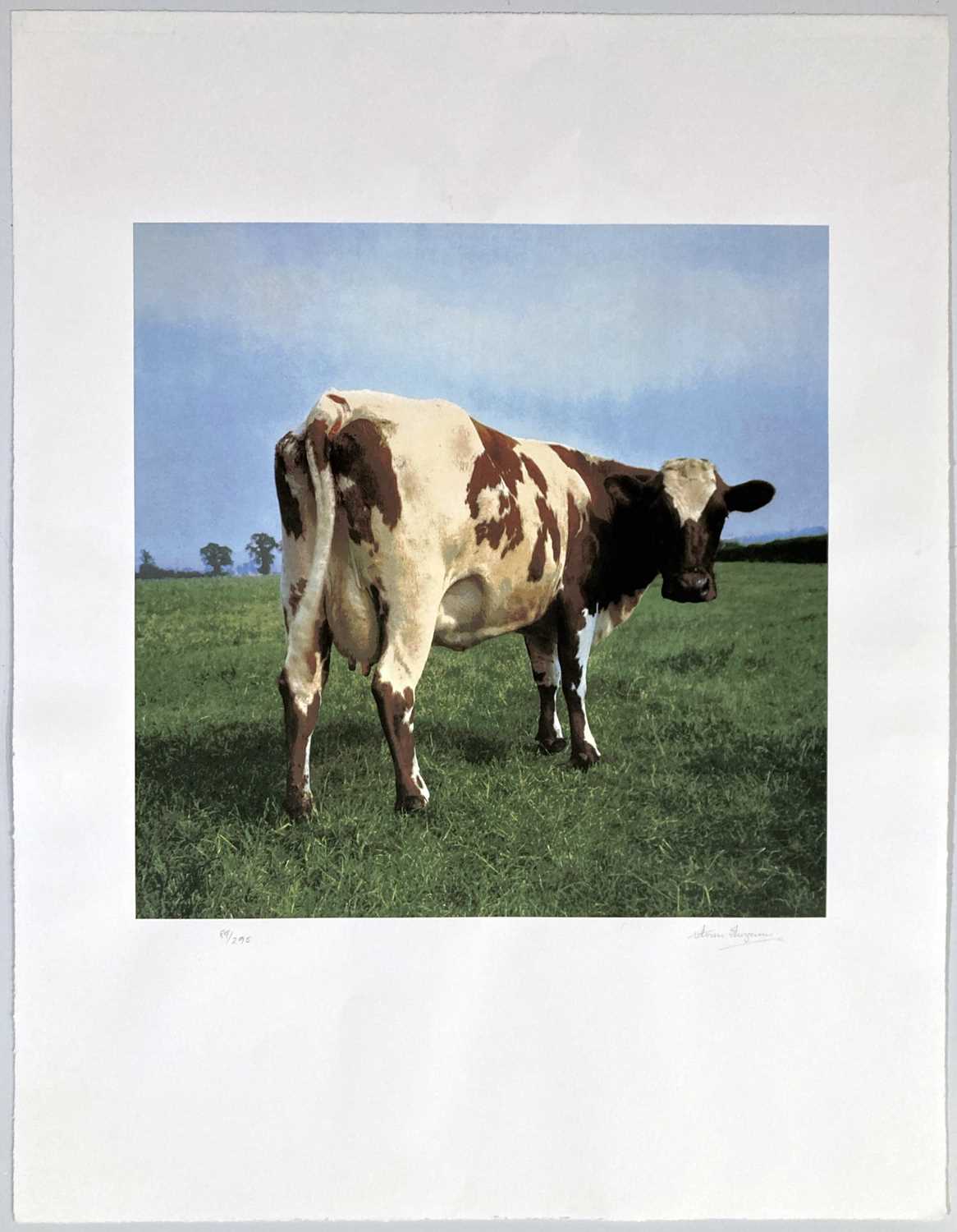 Lot 396 - PINK FLOYD / STORM THORGERSON ATOM HEART