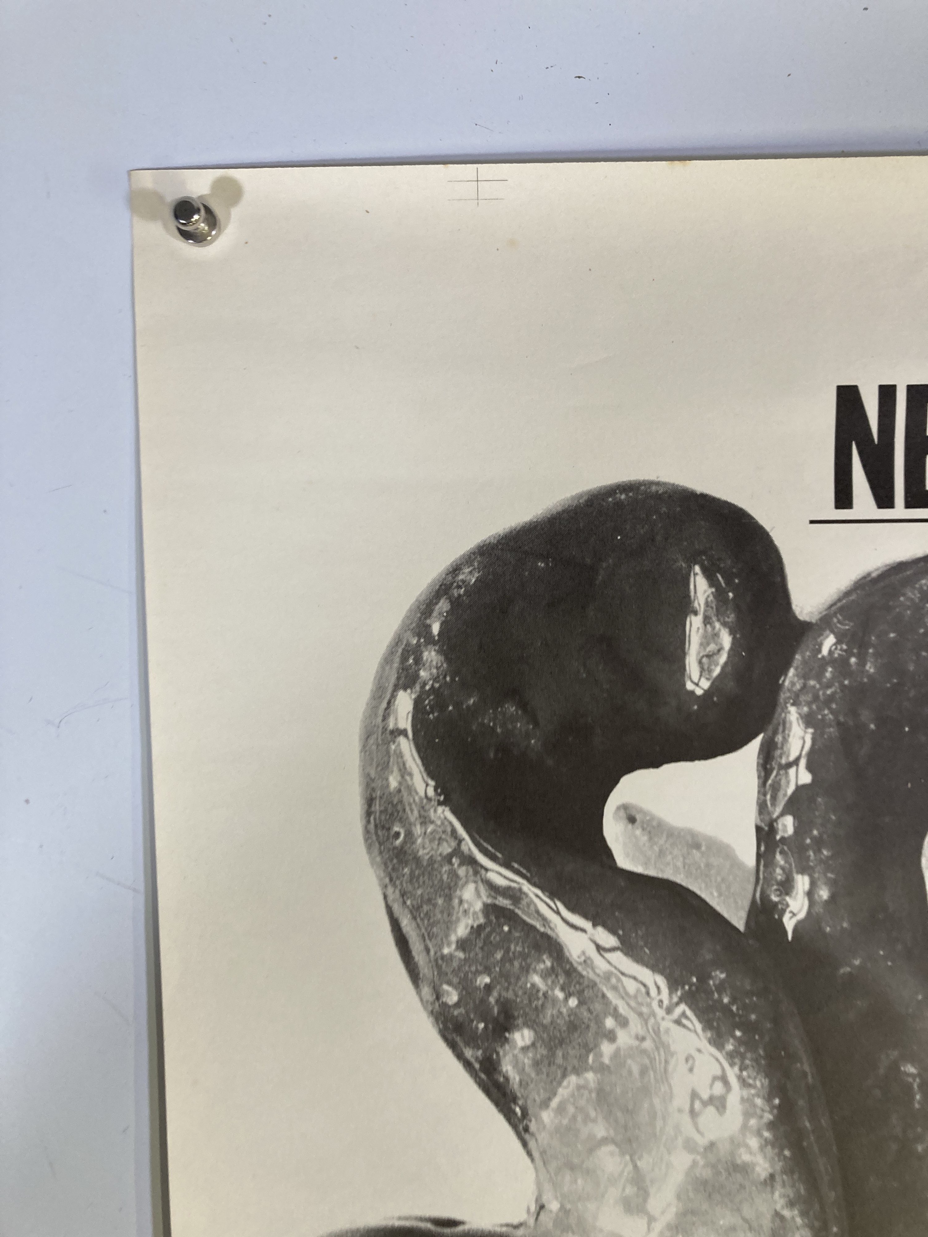 Lot 184 - SOFT MACHINE - 1970S POSTER DESIGN BY