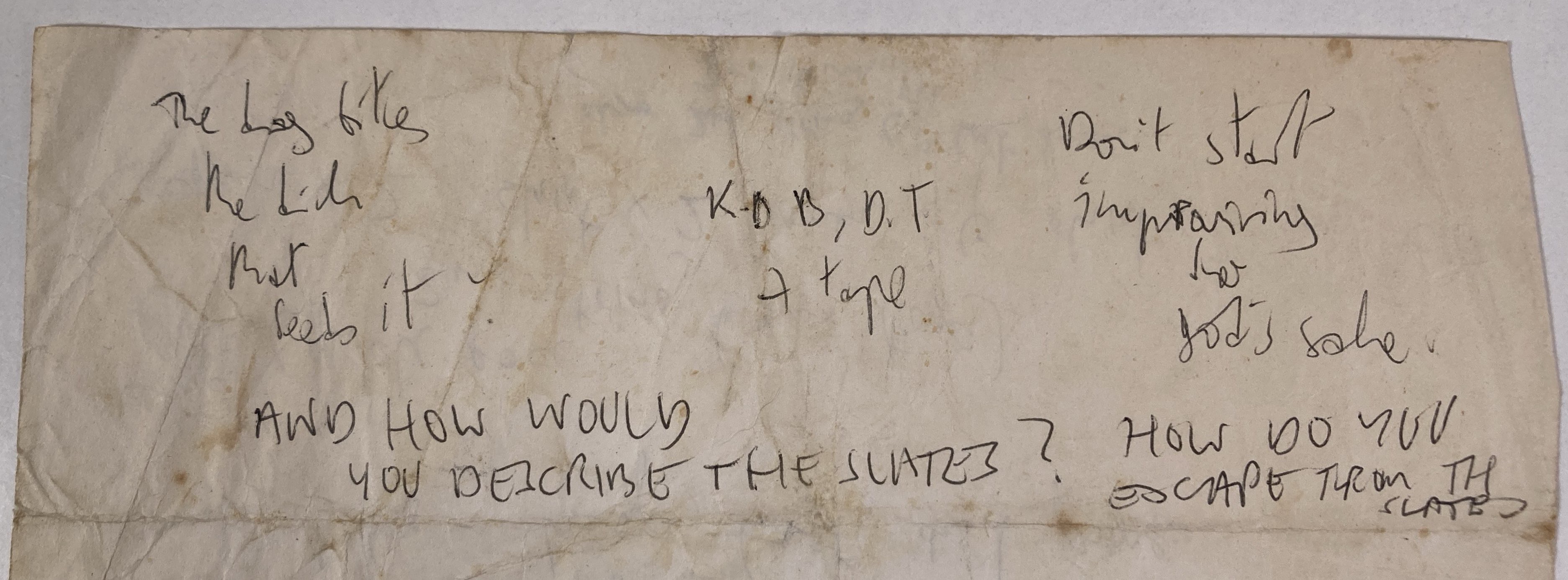 Lot 442 - MARK E. SMITH / THE FALL - MARK E. SMITH