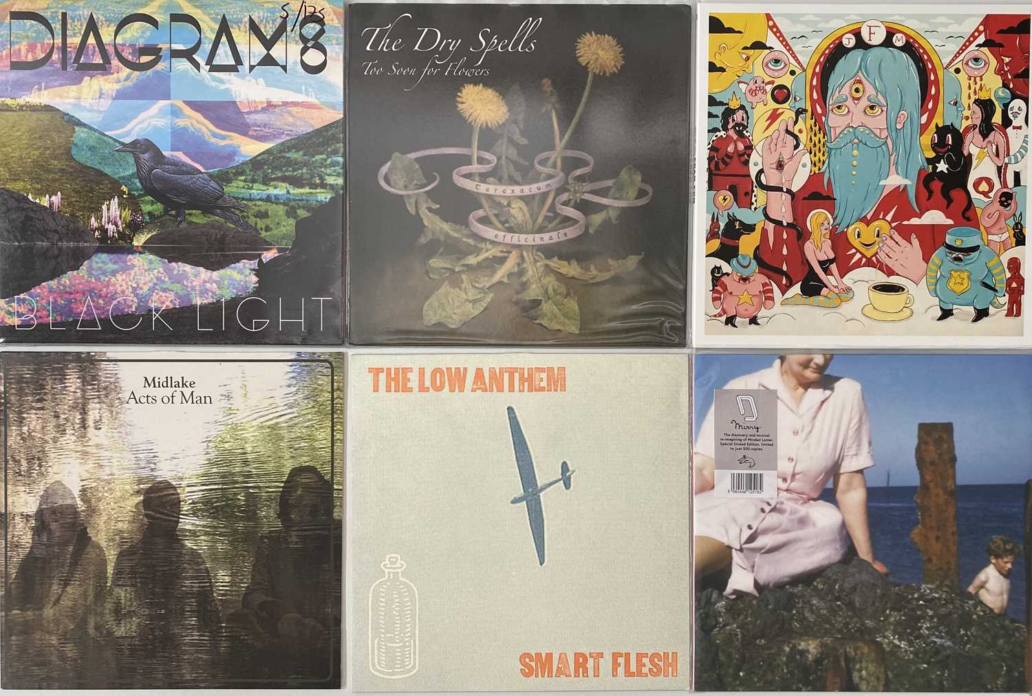 Lot 104 - INDIE / ALT / CONTEMPORARY FOLK LPs (MODERN