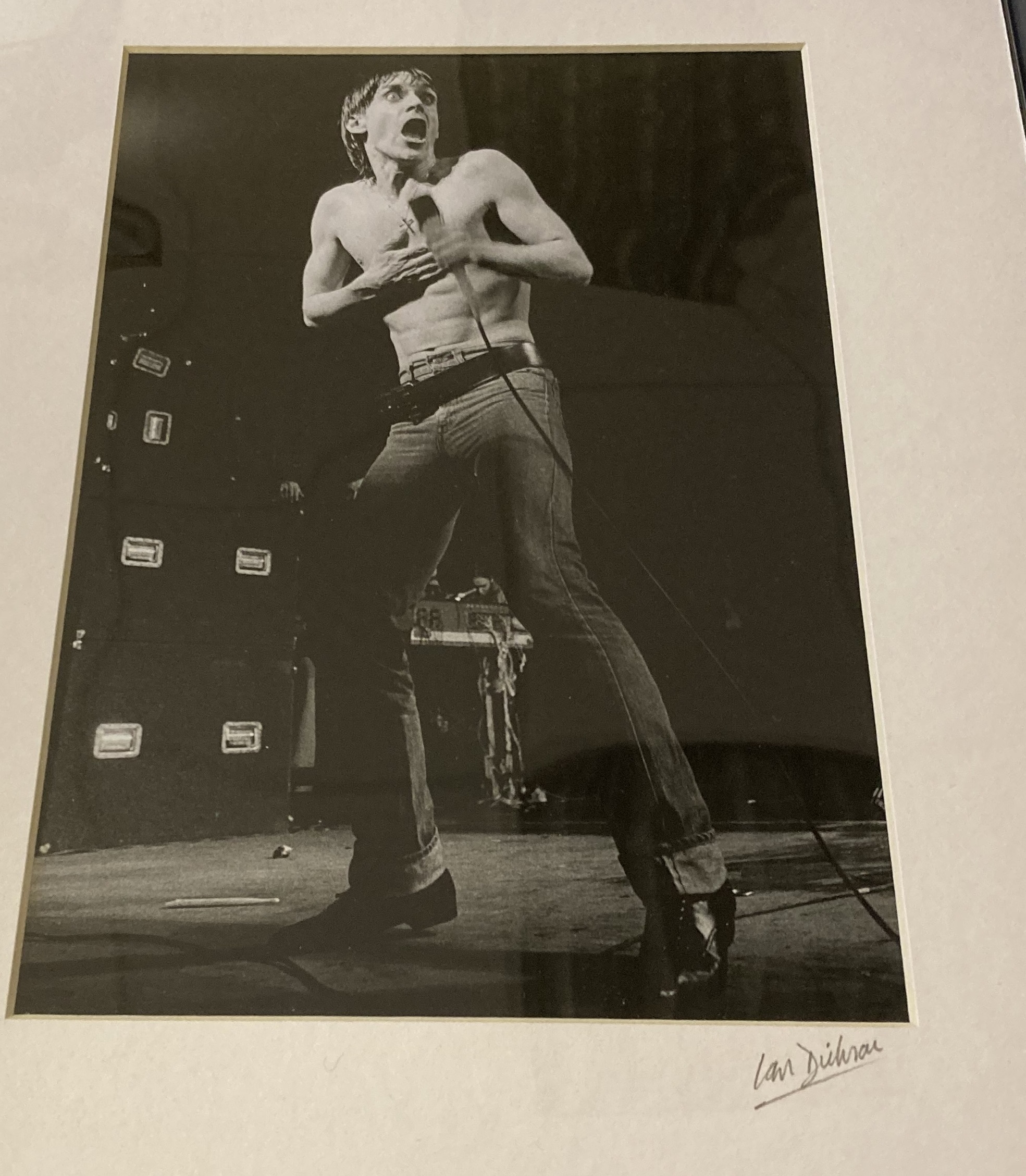 Lot 349 - IAN DICKSON - THE IDIOT - IGGY POP LIMITED