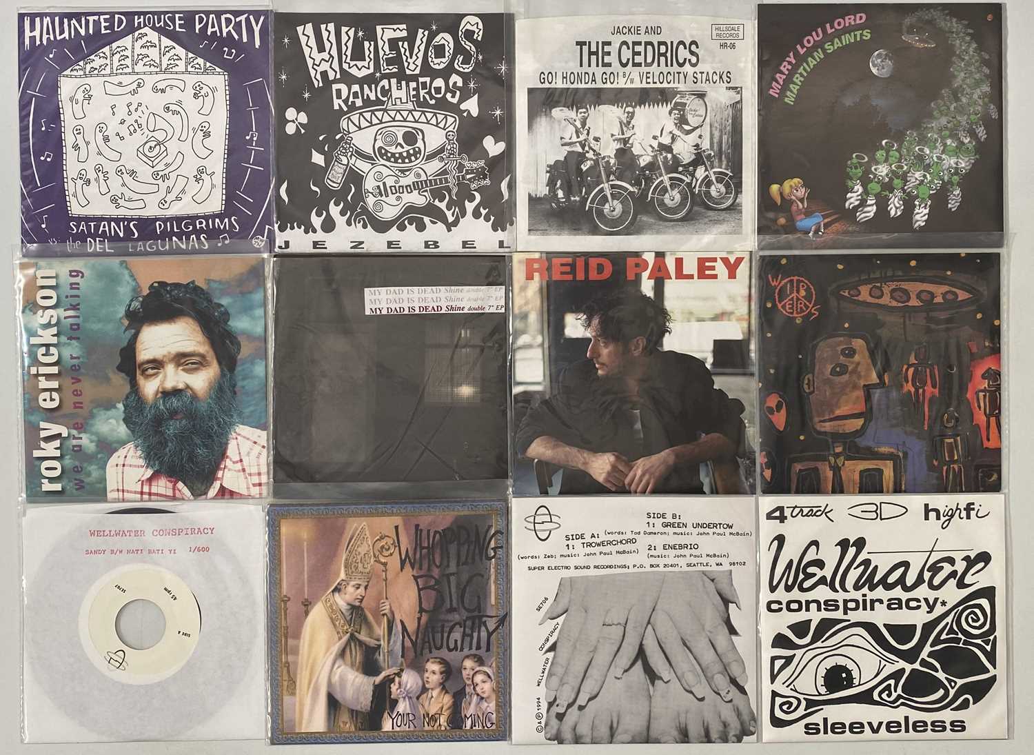 Lot 329 - PUNK/ GRUNGE/ HARDCORE - 7" COLLECTION