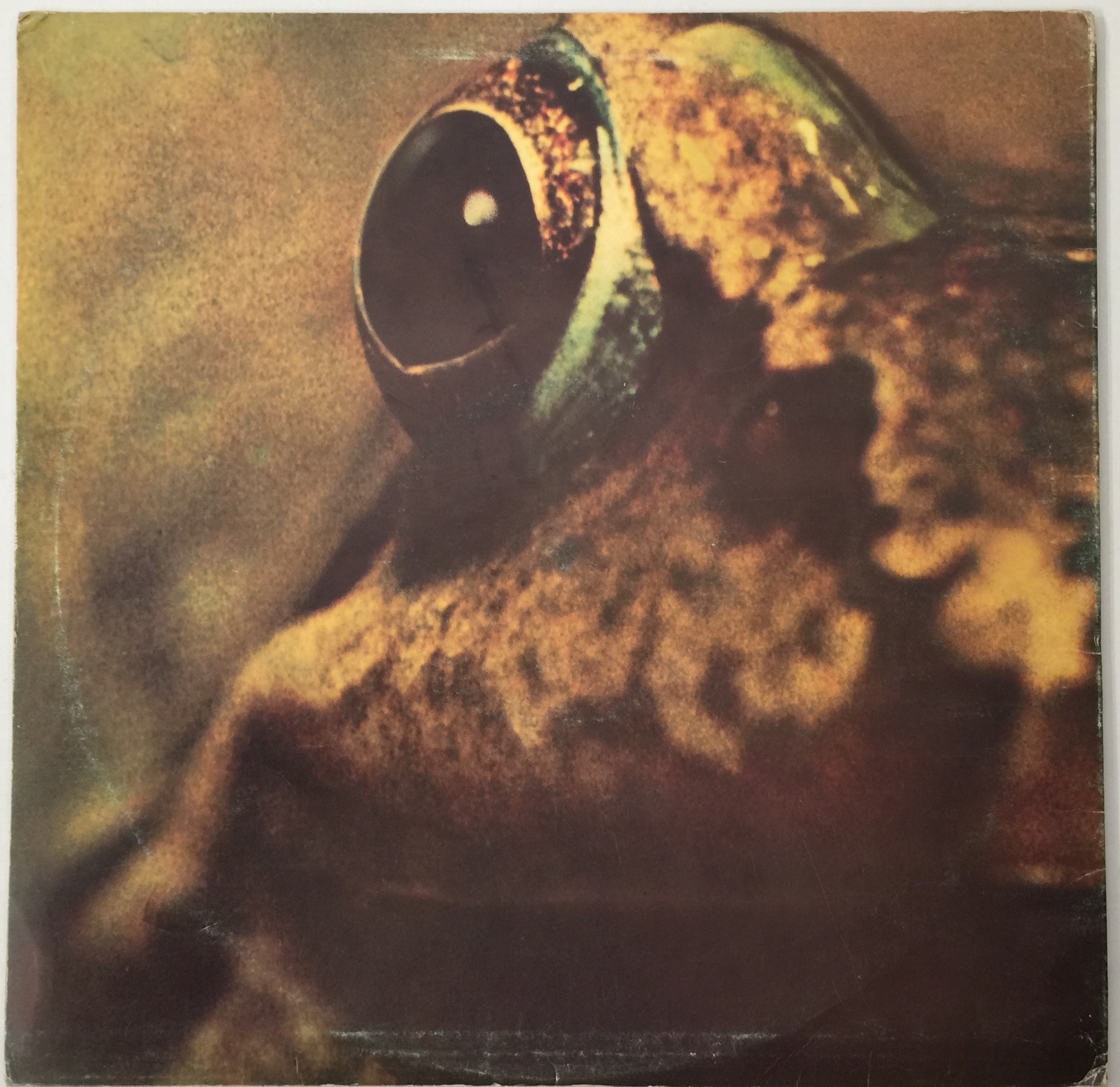 Lot 202 - TOAD - TOAD LP (OG SWISS PRESSING