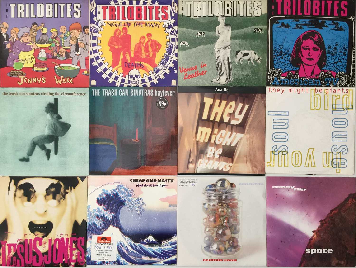 Lot 263 - INDIE/ ALT/ POP - 7" COLLECTION