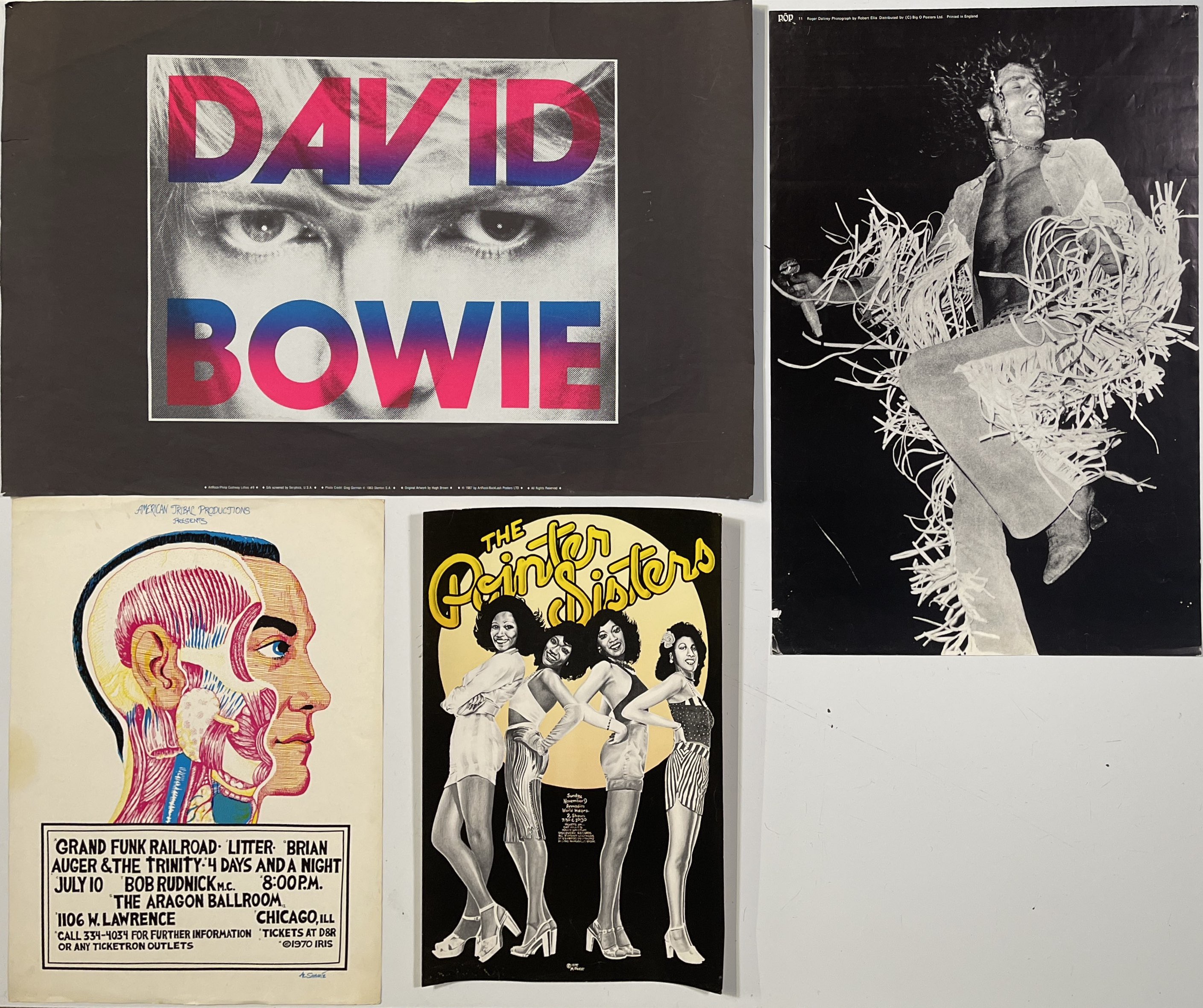 Lot 202 - POSTERS INC DAVID BOWIE / POINTER SISTERS US