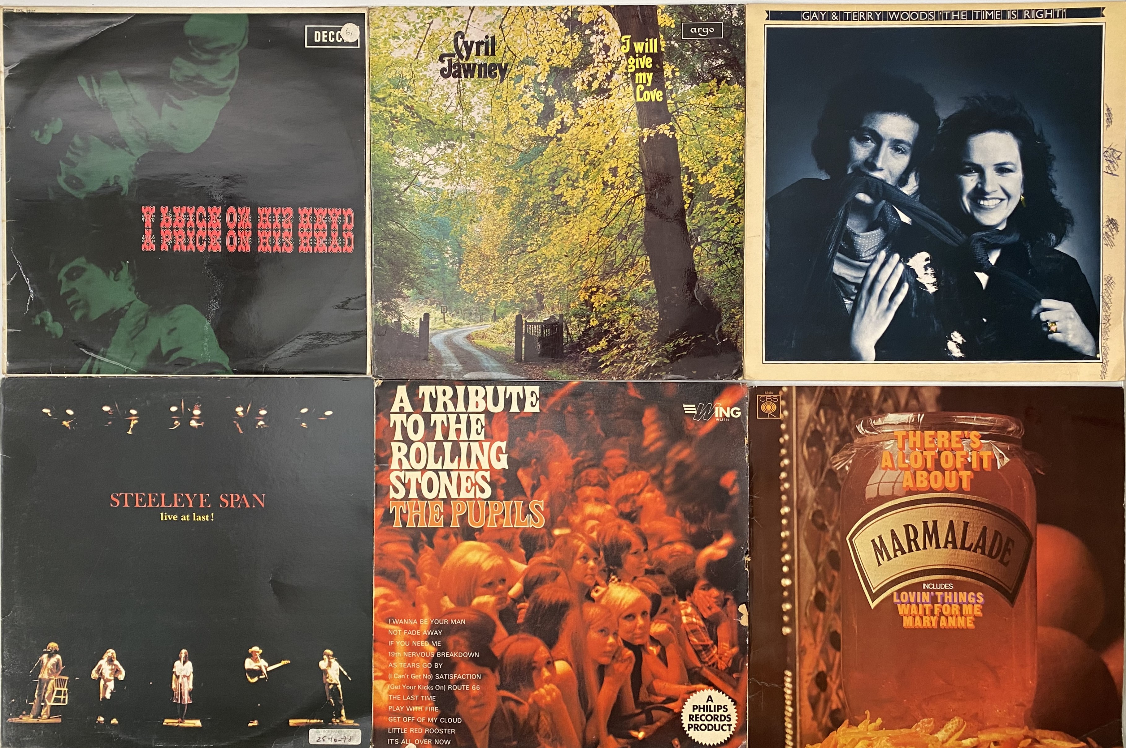 Lot 805 FOLK 60s ARTISTS LP COLLECTION lot-805-folk-60s-artists-lp-collection