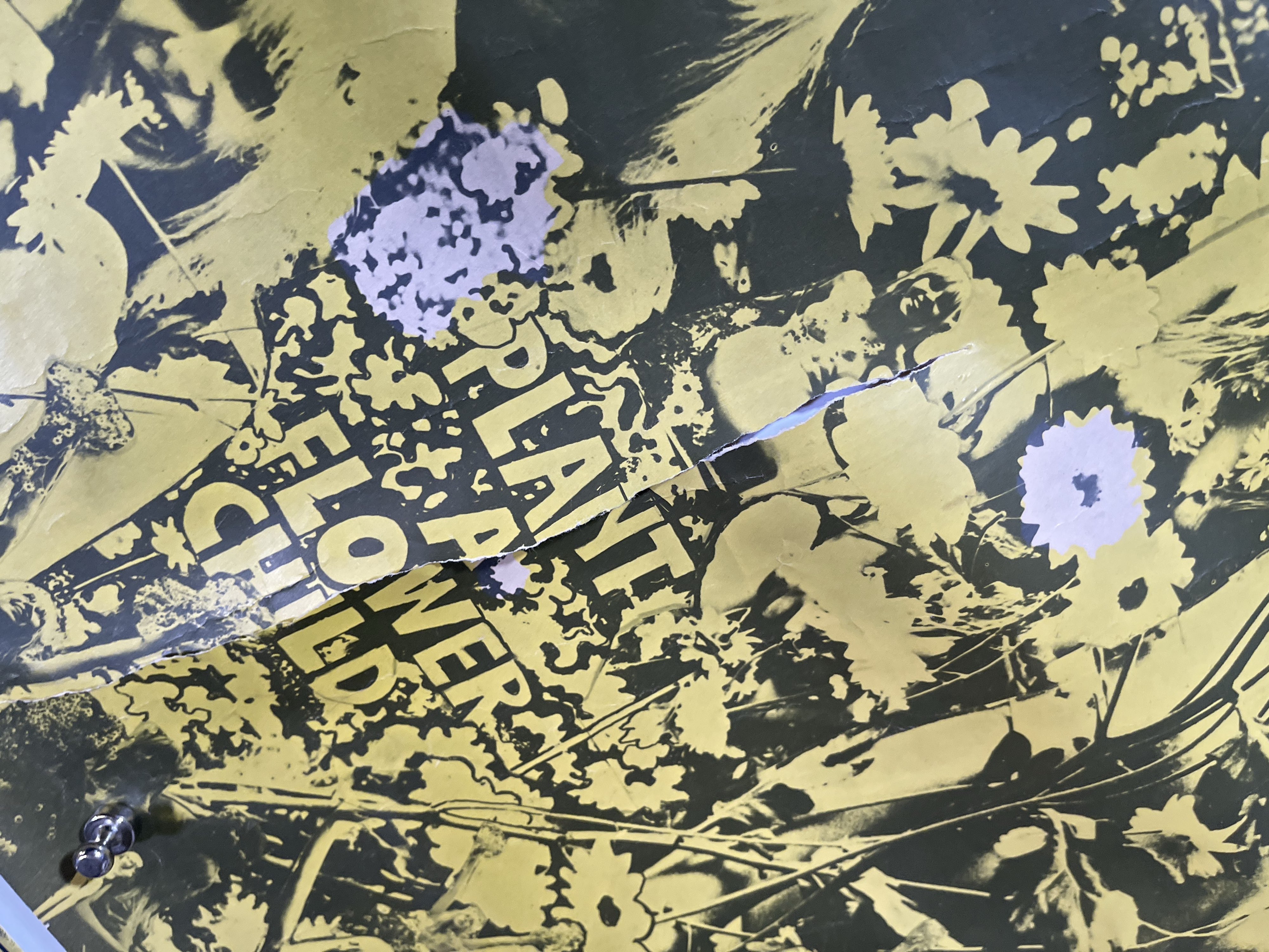 Lot 153 - OZ MAGAZINE POSTERS INC 'PLANT A FLOWER'.