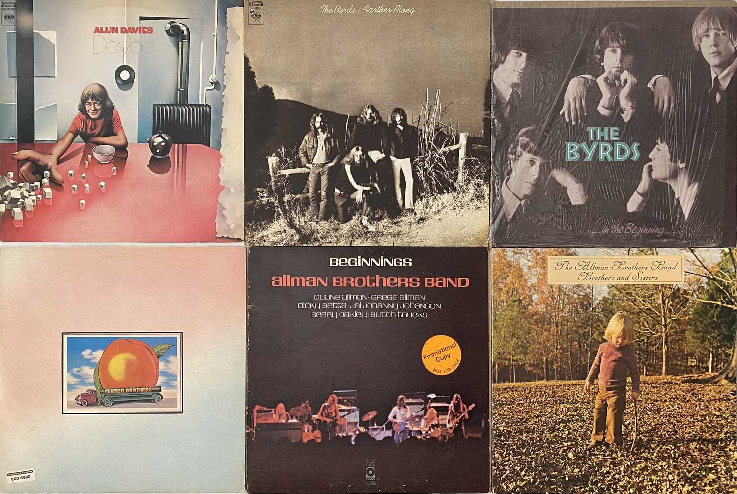 Lot 700 - COUNTRY/ FOLK ROCK - LP COLLECTION