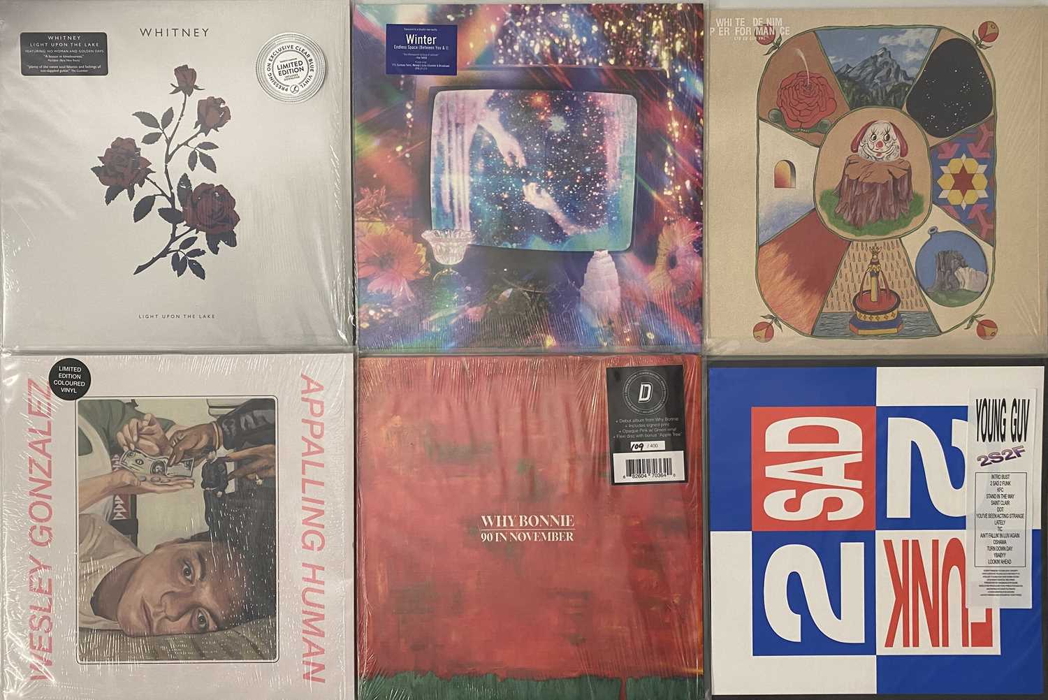 Lot 744 - INDIE / ALT - MODERN LP COLLECTION