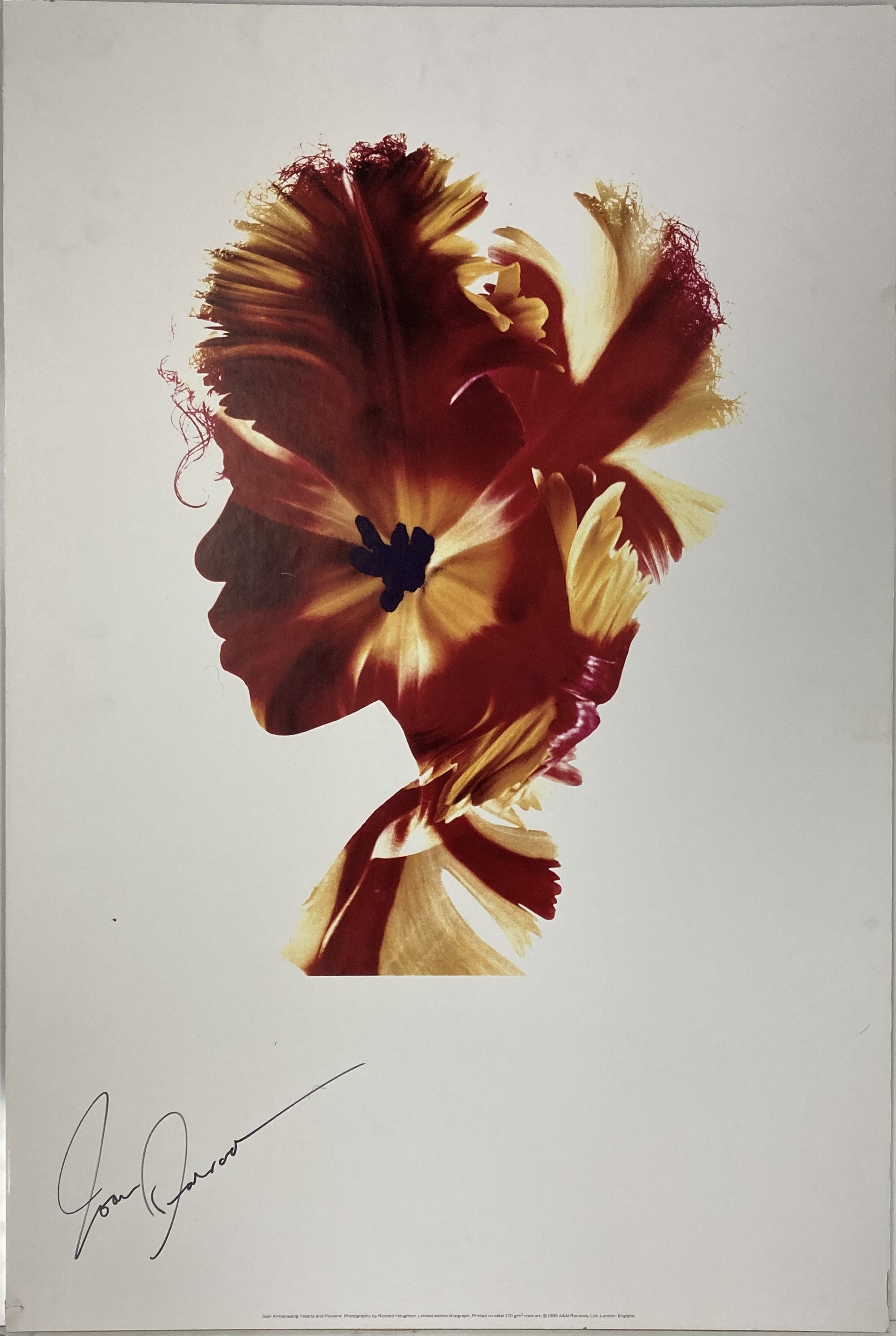 Lot 33 - ASSORTED SHOP DISPLAYS - DAVID BOWIE / GRACE