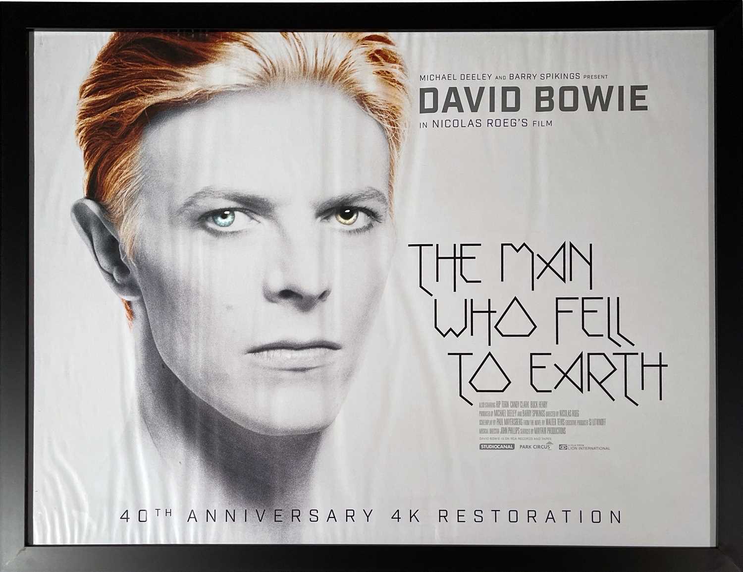 Lot 376 - DAVID BOWIE - THE MAN WHO FELL TO EARTH