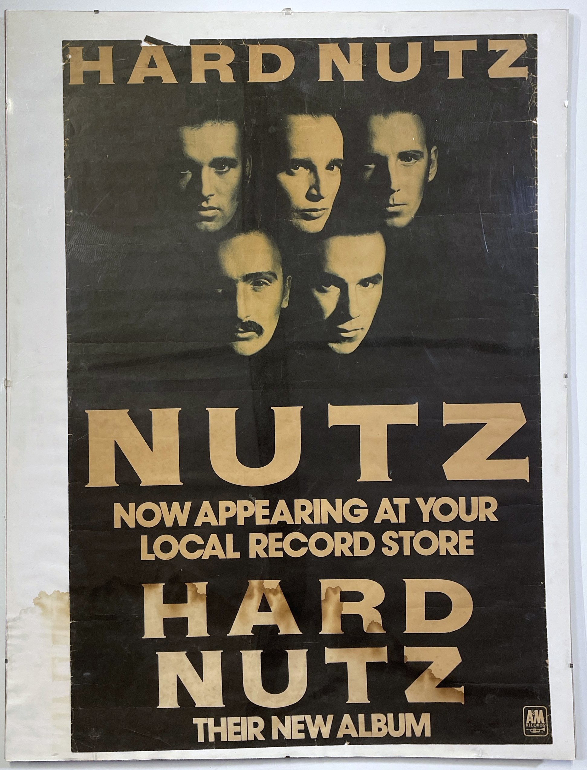 Lot 63 - ASSORTED MEMORABILIA - ORIGINAL NUTZ POSTER