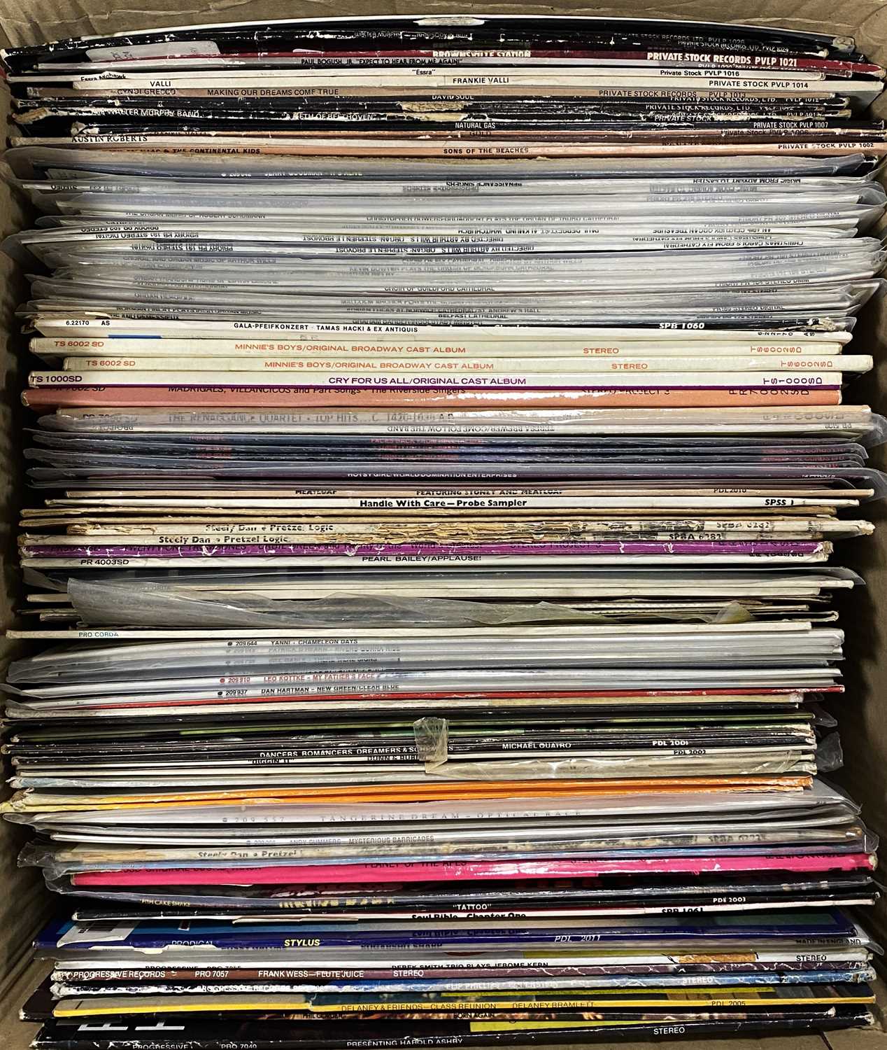 Lot 299 - P LABELS - PRIVATE MUSIC / PROBE PLUS
