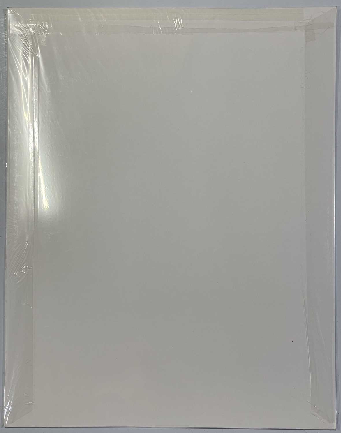 Lot 295 - PINK FLOYD / STORM THORGERSON TREE OF HALF