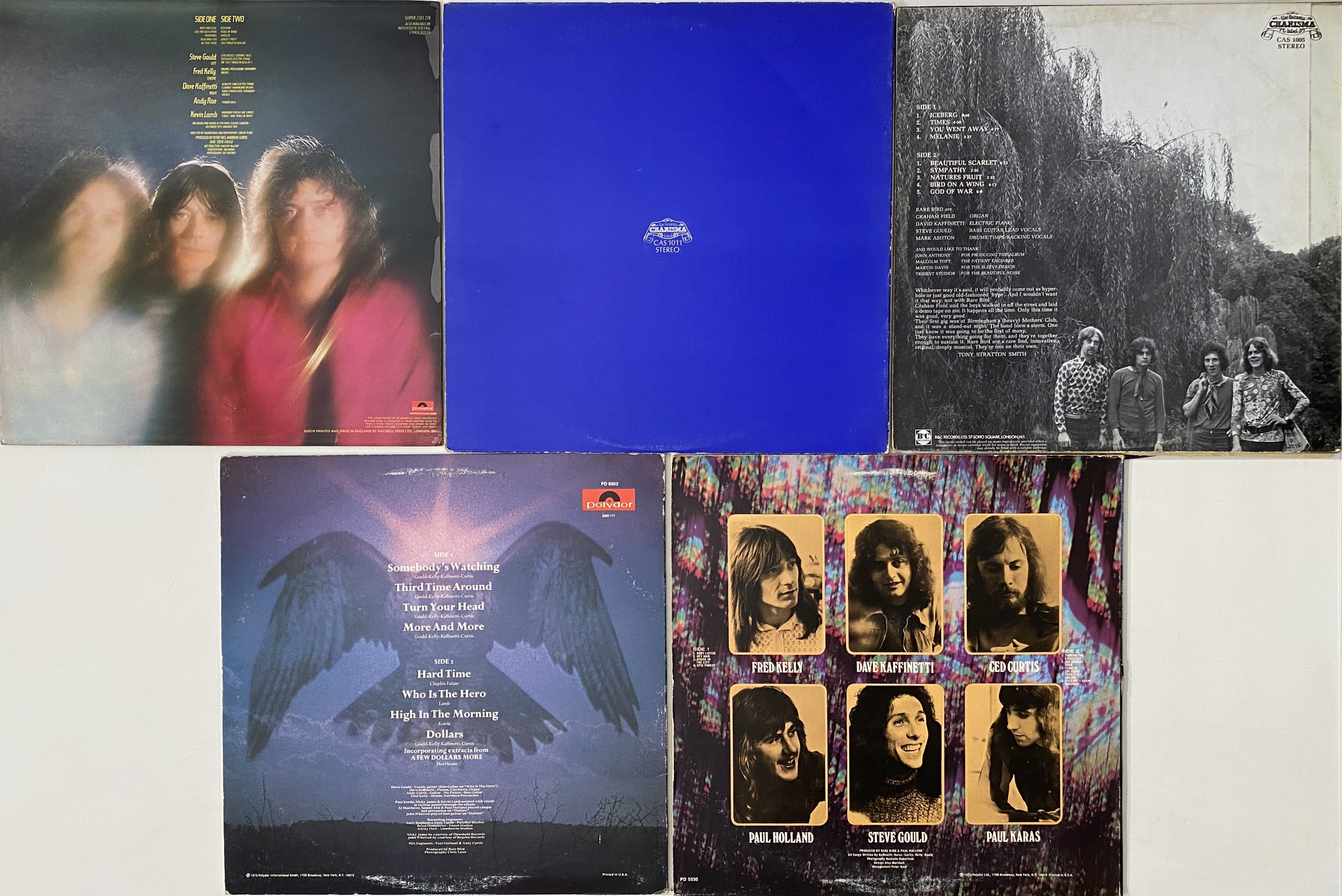 Lot 919 - RARE BIRD - LP RARITIES PACK