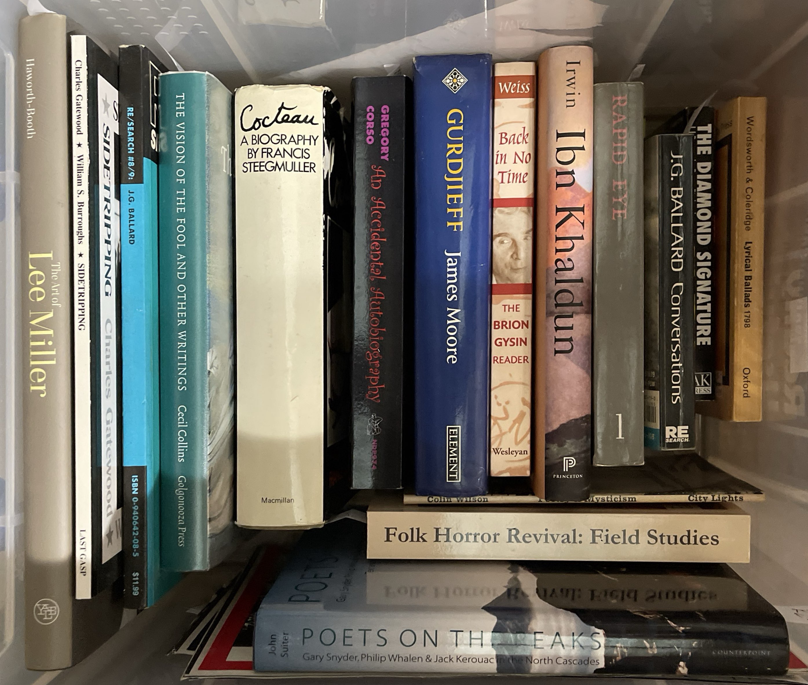 Lot 40 - LITERATURE / ESOTERIC / WEIRD AND WONDERFUL