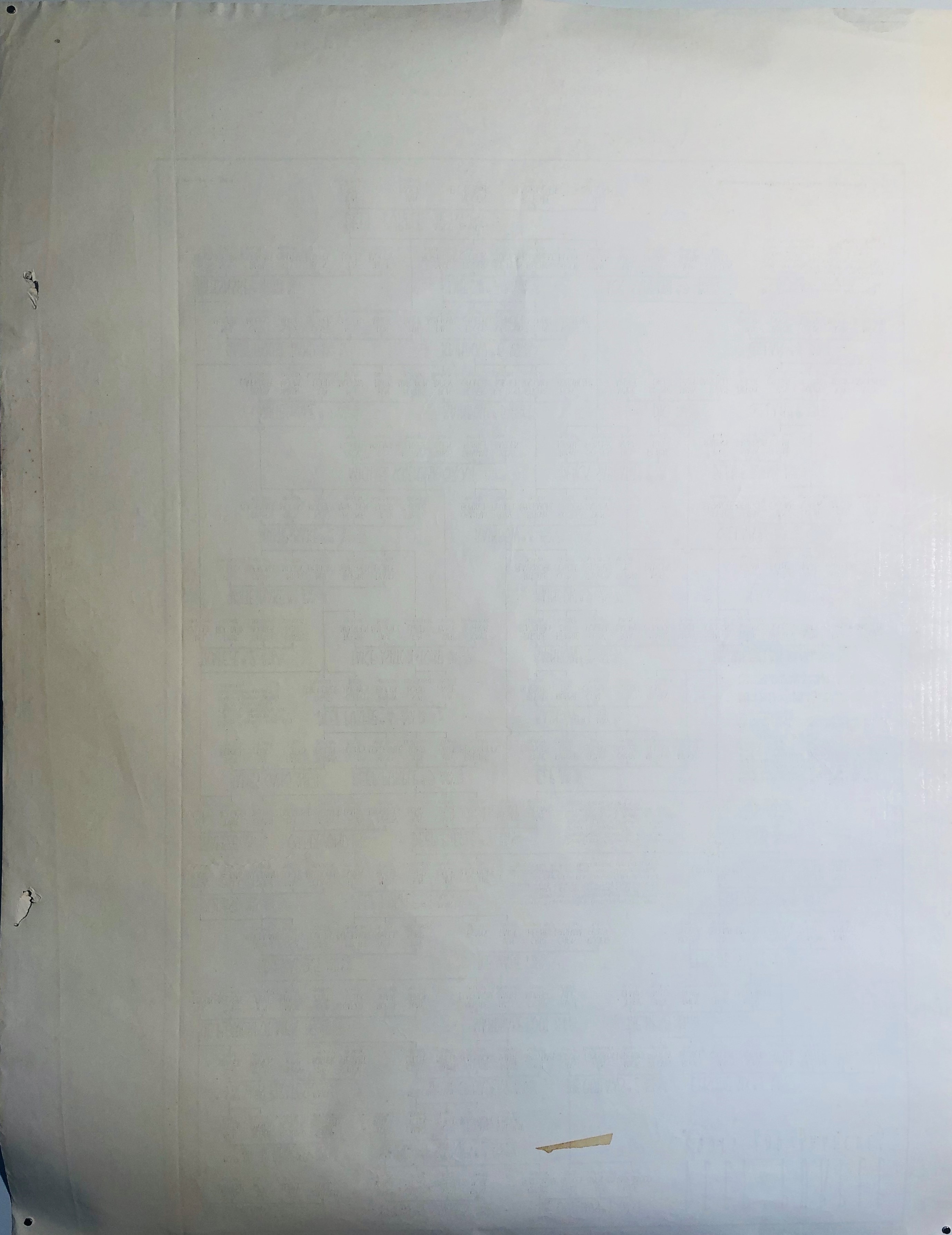 Lot 40 - PETE FRAME HAND DRAWN ROCK FAMILY TREES