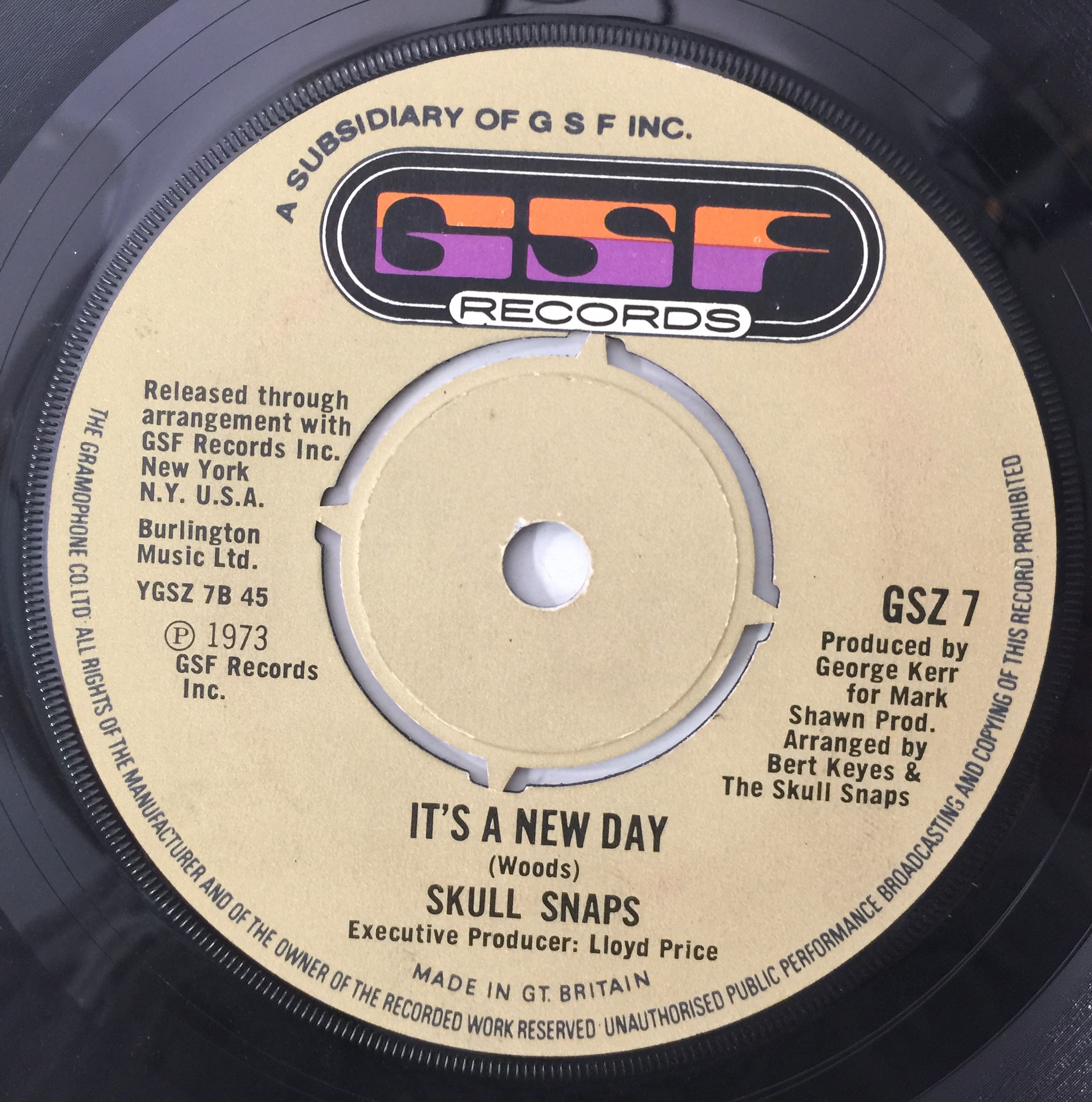 Lot 79 - SKULL SNAPS - MY HANG UP IS YOU/ IT'S A NEW