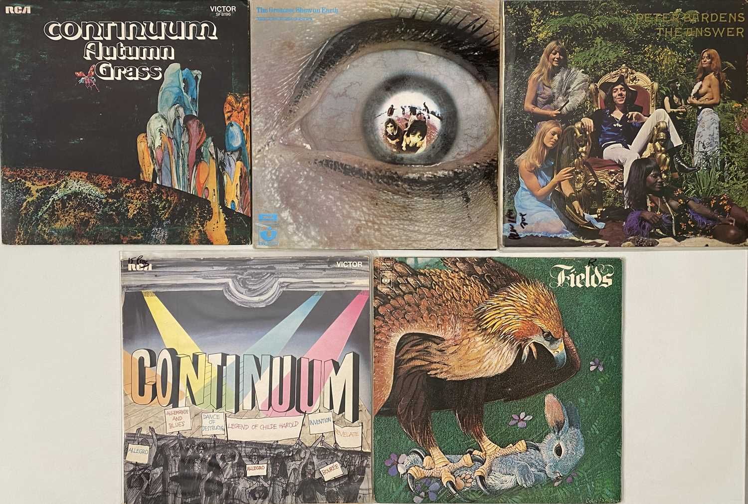 Lot 84 - PROG/PSYCH - LP RARITIES