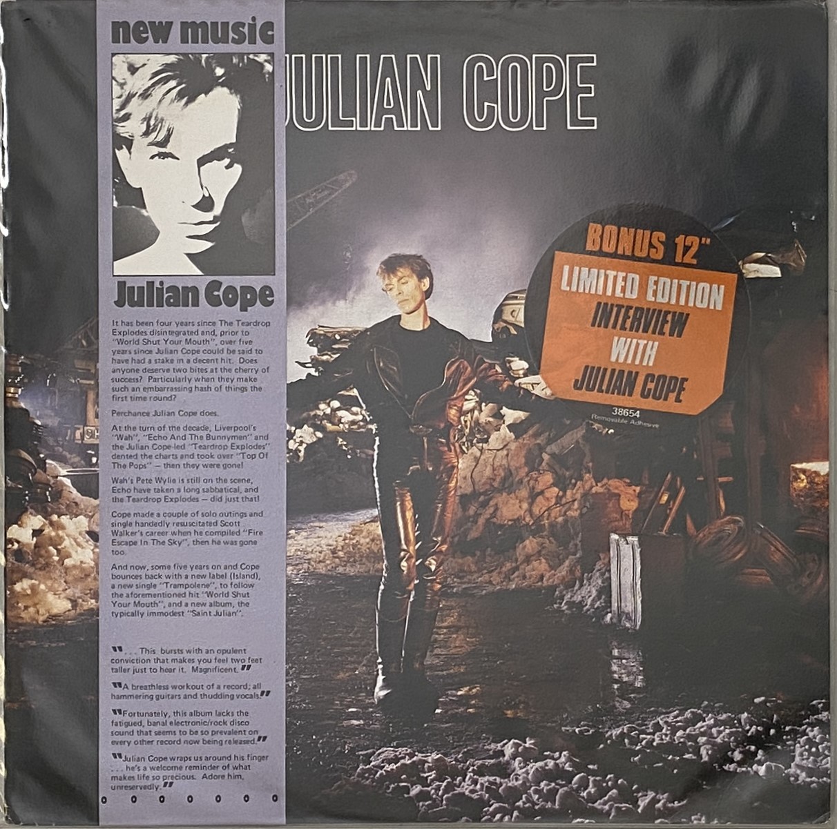 Lot 117 - JULIAN COPE - LP COLLECTION (INCLUDING