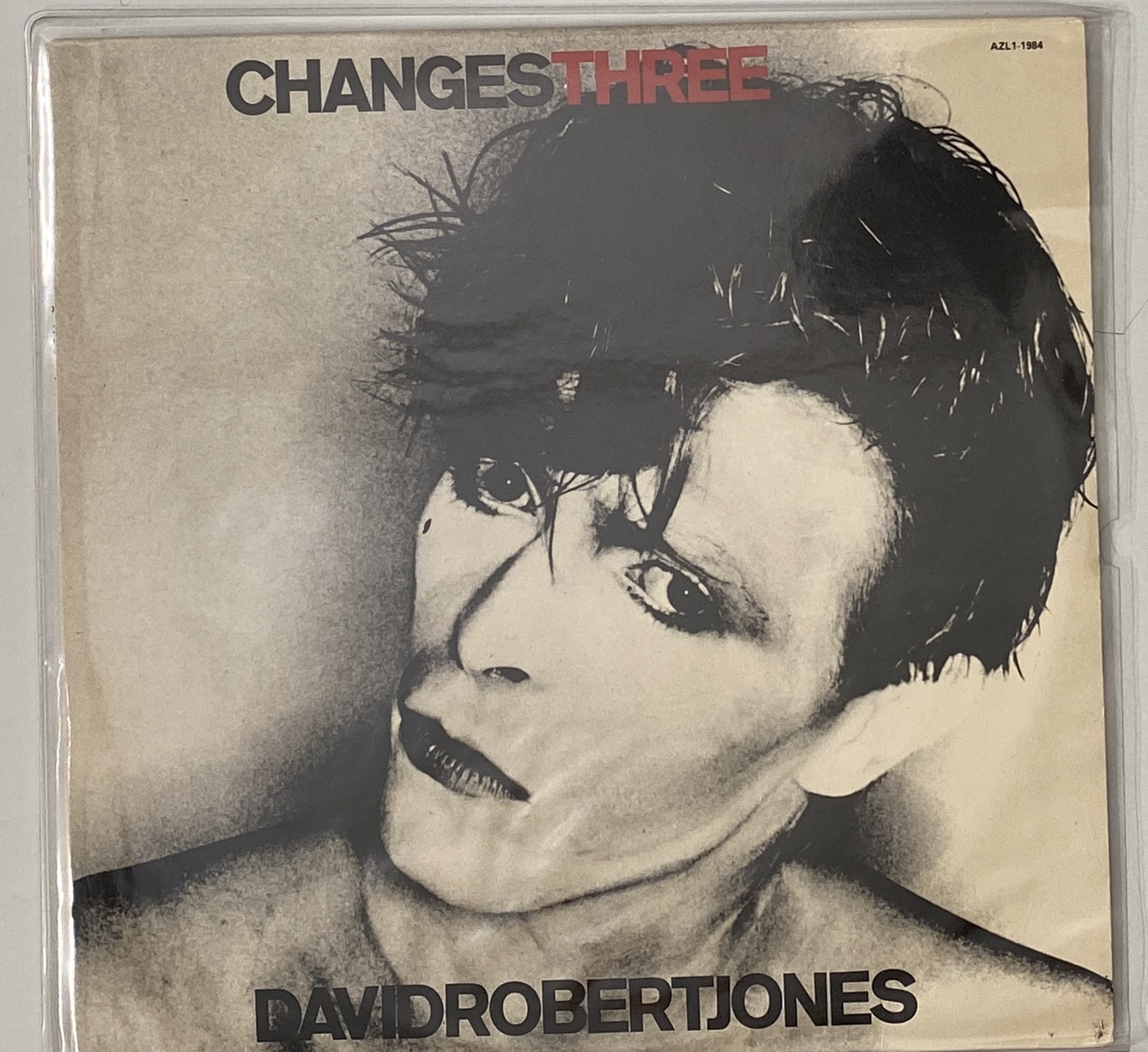 Lot 555 - DAVID BOWIE - 'ULTIMATE' LP COLLECTION