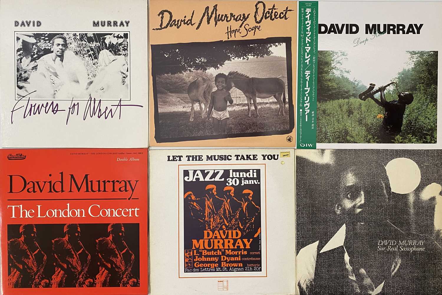 Lot 462 - DAVID MURRAY - LP COLLECTION