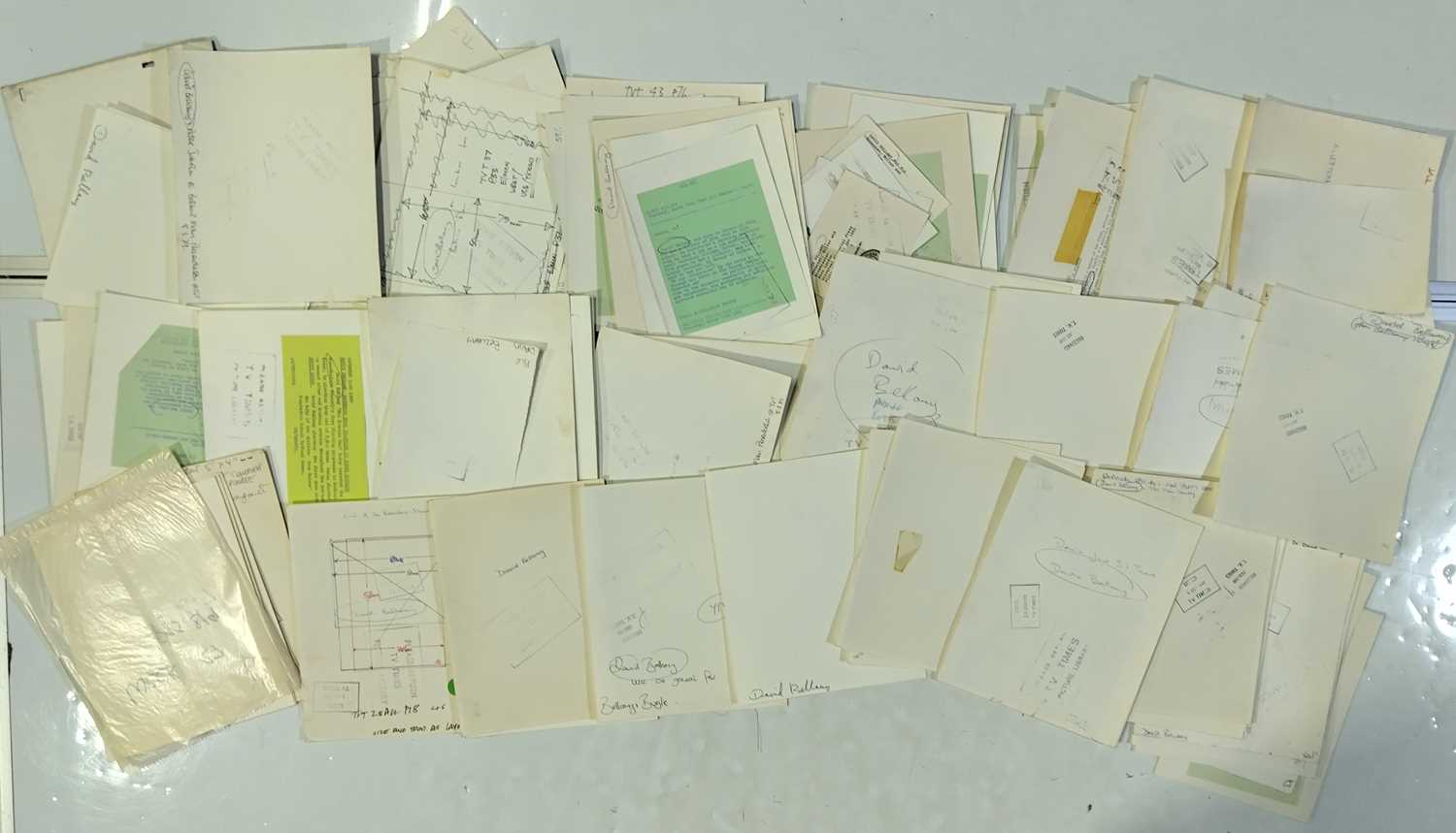 Lot 243344 - DR DAVID BELLAMY - LARGE COLLECTION OF