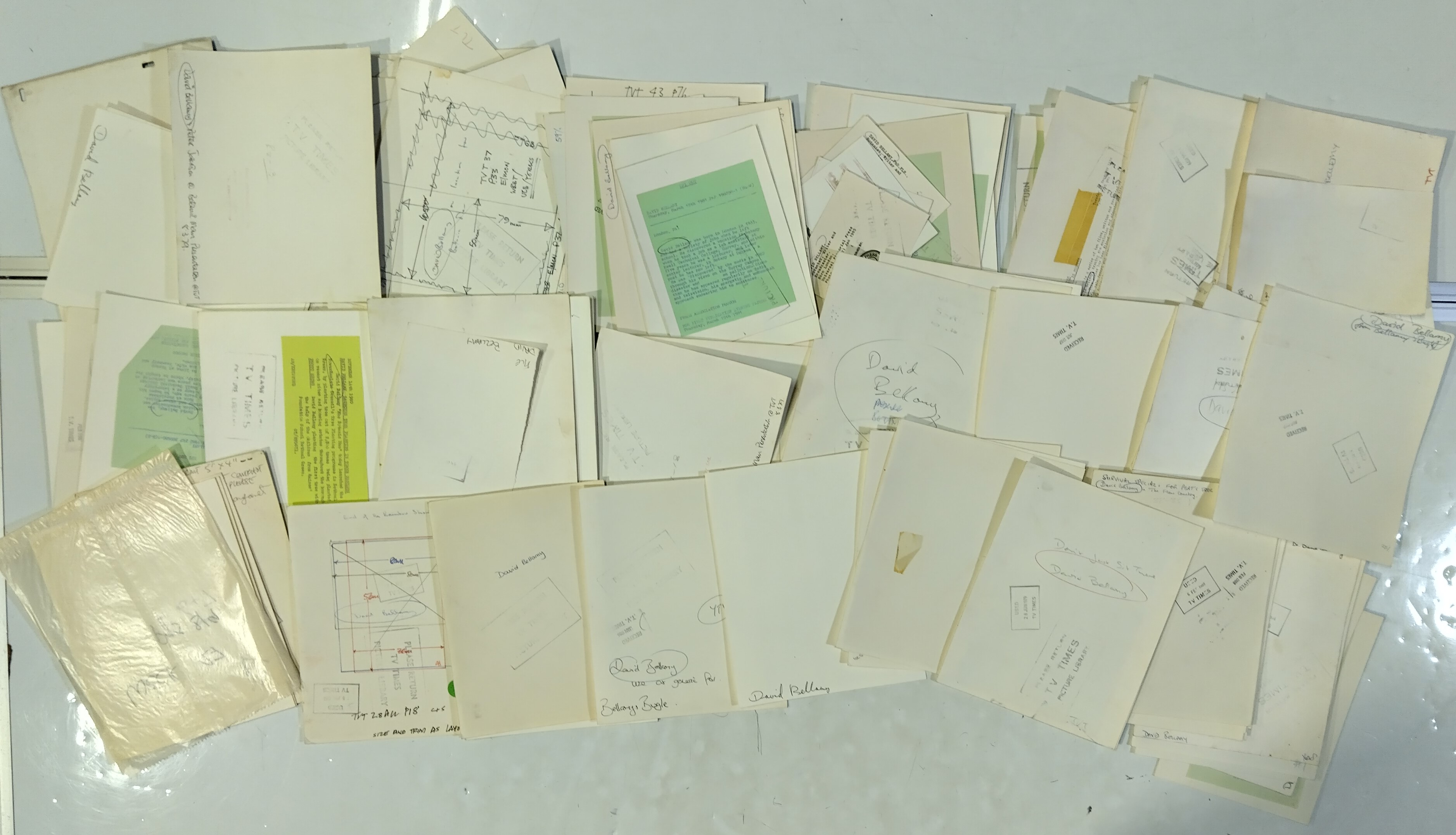 Lot 243344 - DR DAVID BELLAMY - LARGE COLLECTION OF