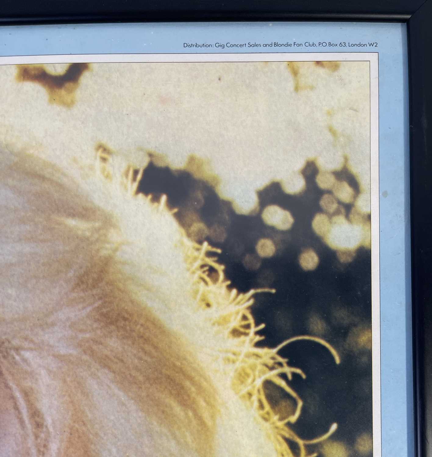 Lot 180 - BLONDIE - ORIGINAL DEBBIE HARRY FAN CLUB