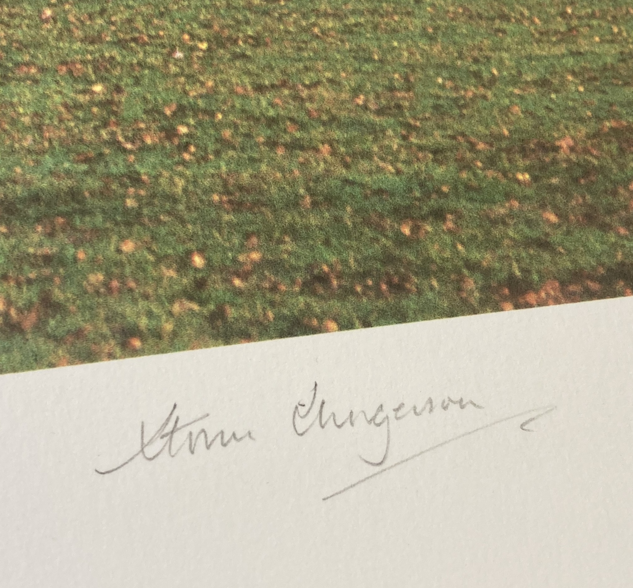 Lot 541 - PINK FLOYD / STORM THORGERSON TREE OF HALF