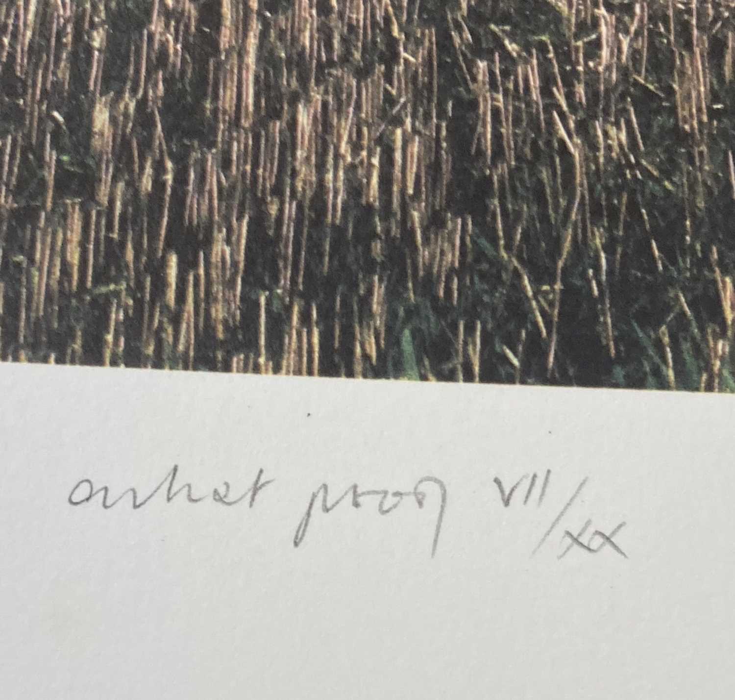 Lot 542 - PINK FLOYD / STORM THORGERSON DIVISION BELL